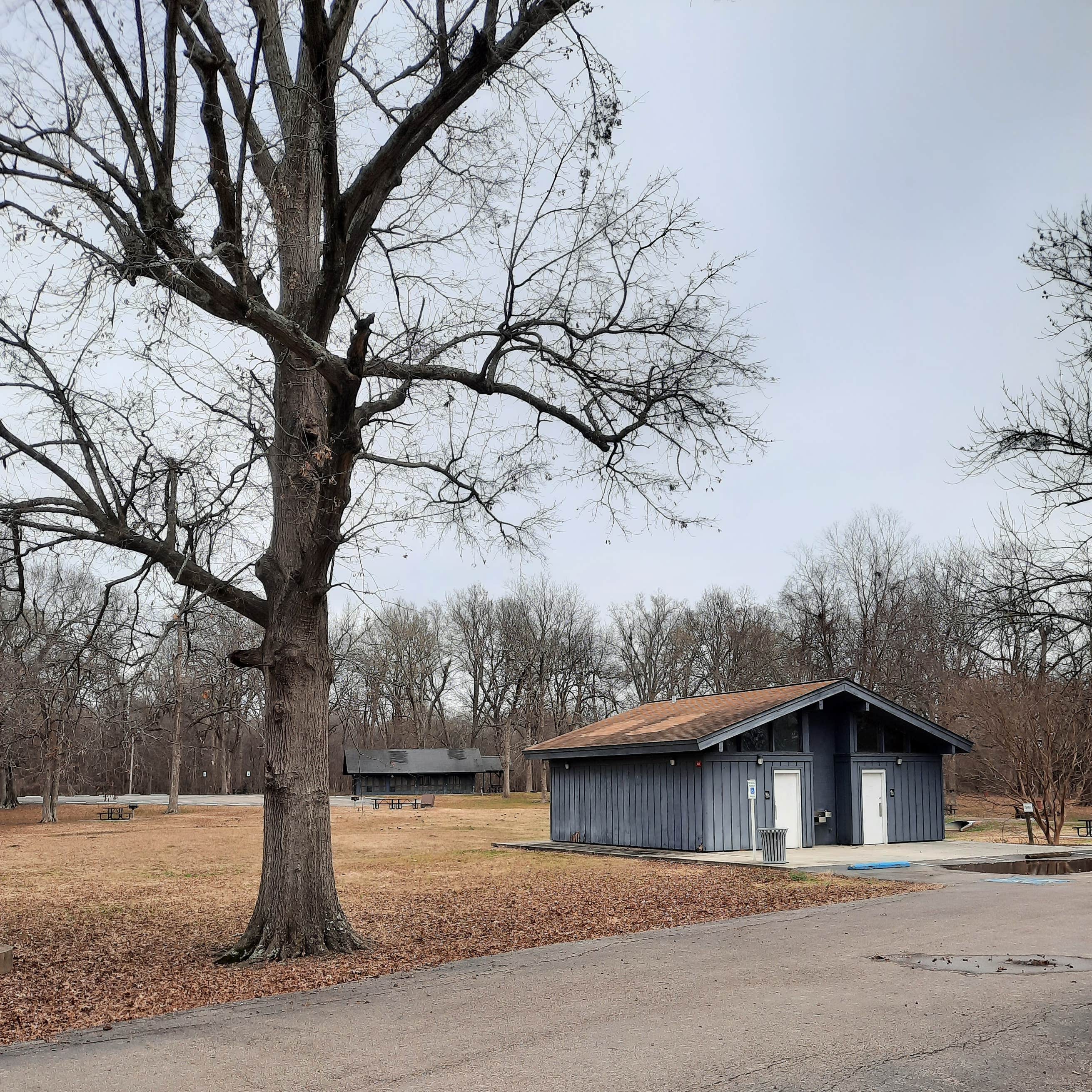 Lake Chicot State Park Camping | The Dyrt