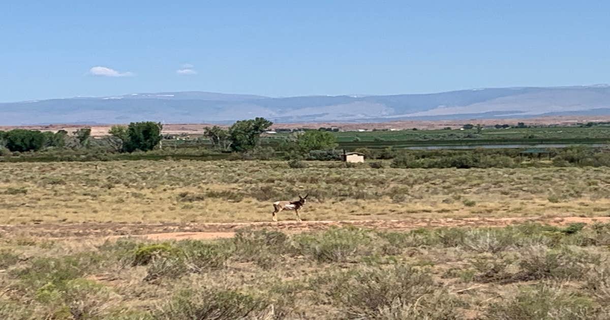 BLM Pelican Lake Camping | Vernal, UT | The Dyrt