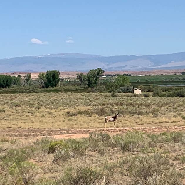 BLM Pelican Lake Camping | Roosevelt, Utah