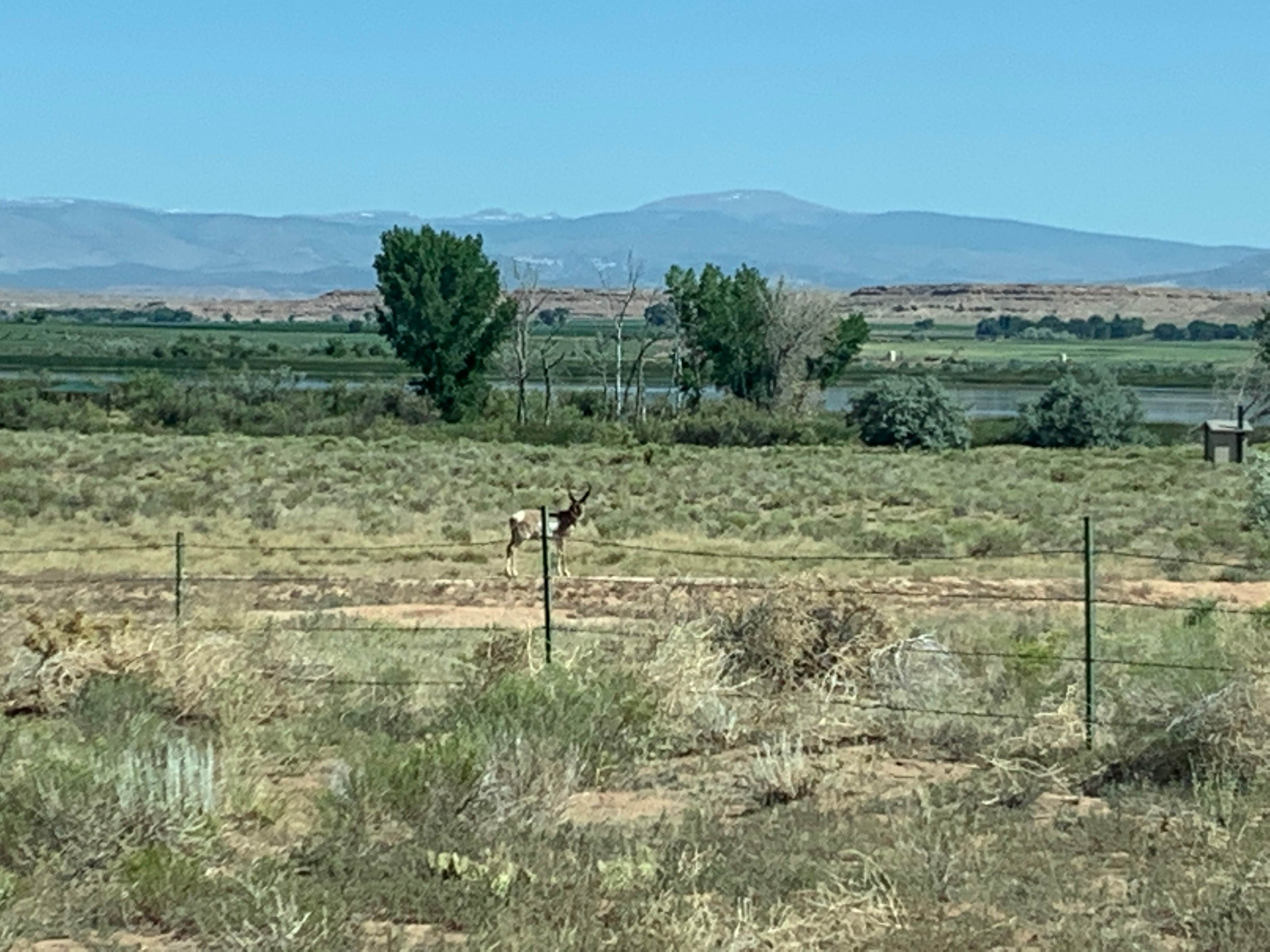 BLM Pelican Lake Camping | Vernal, UT