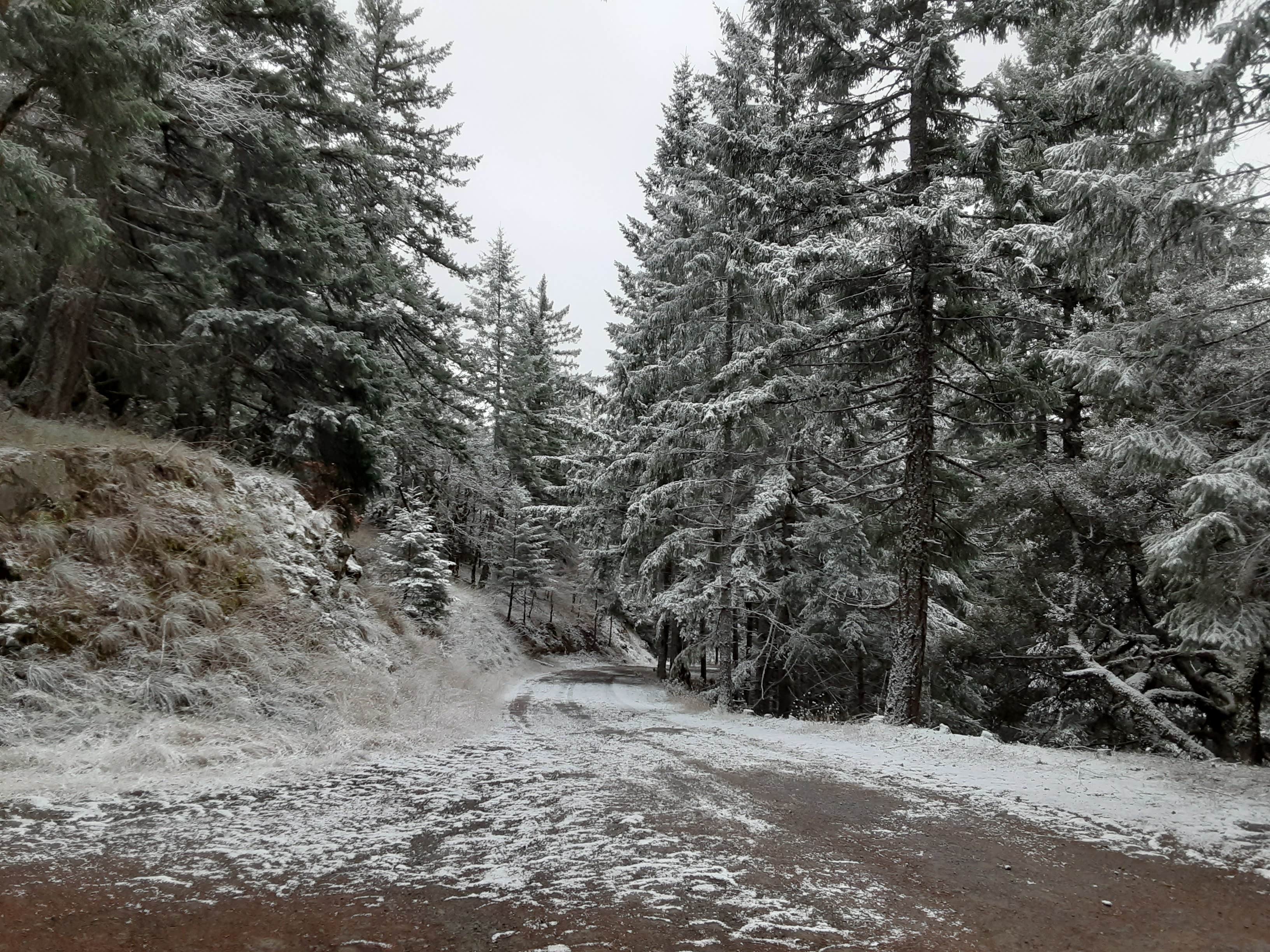 Blue Lake Casino Camping | Blue Lake, CA