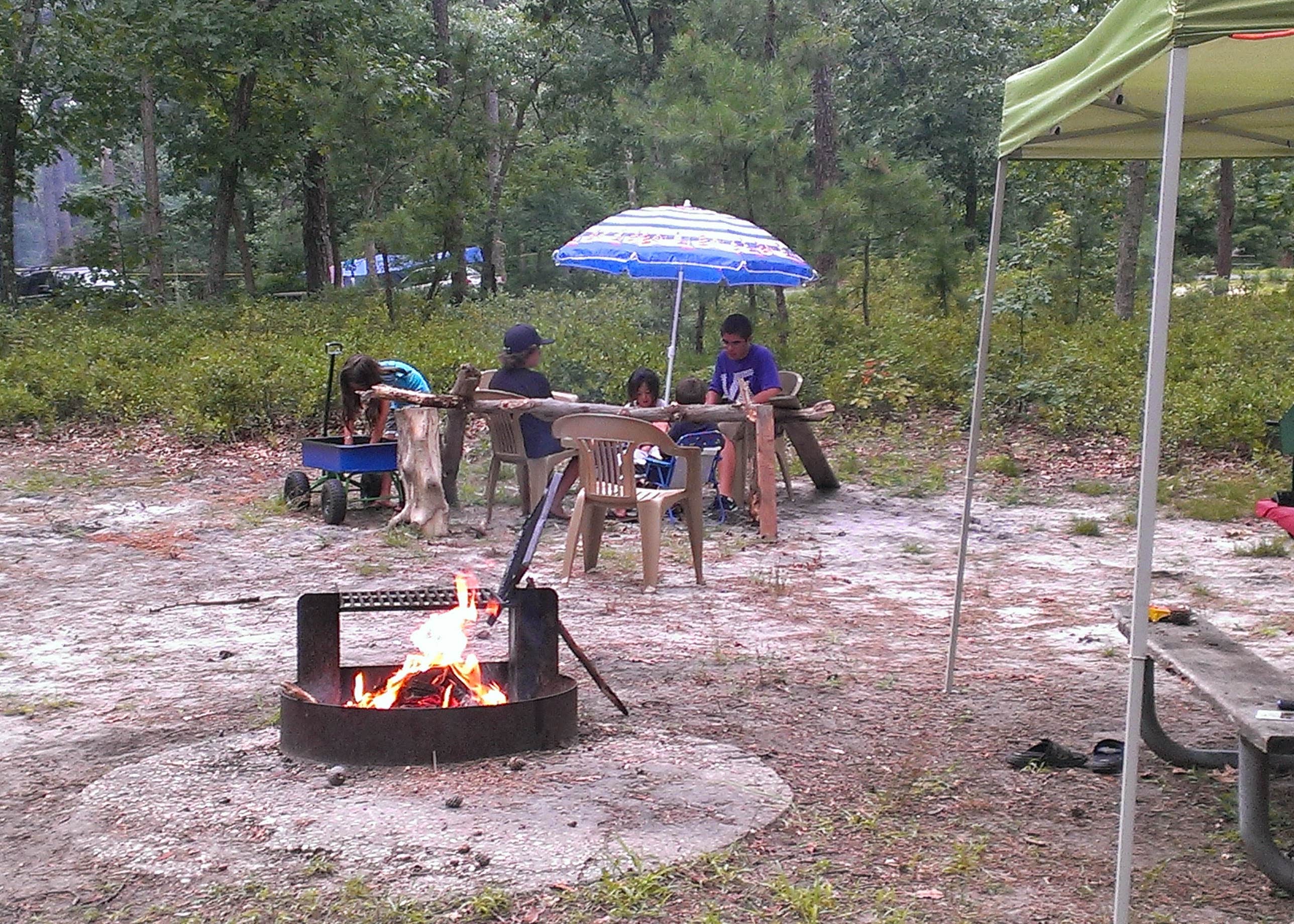 Bass River State Forest Camping | The Dyrt