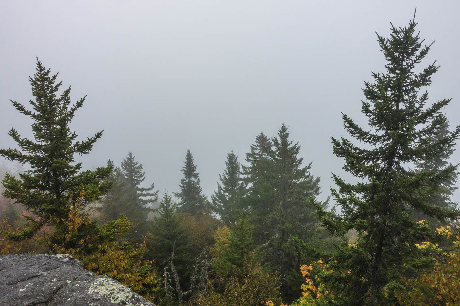Elmore State Park Campground | Elmore, VT