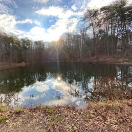 Prentice Cooper State Forest Dispersed Camping | The Dyrt