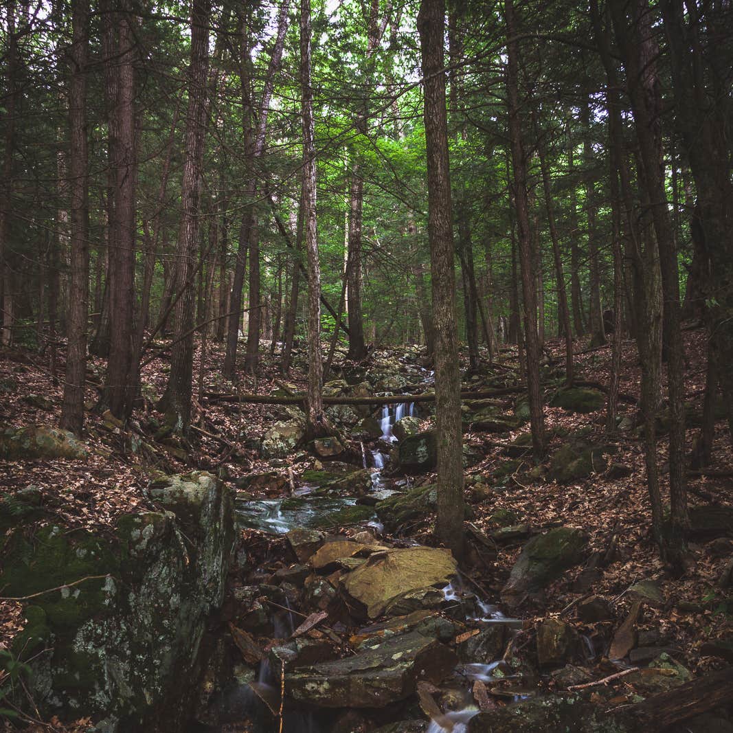 October Mountain State Forest Camping | The Dyrt