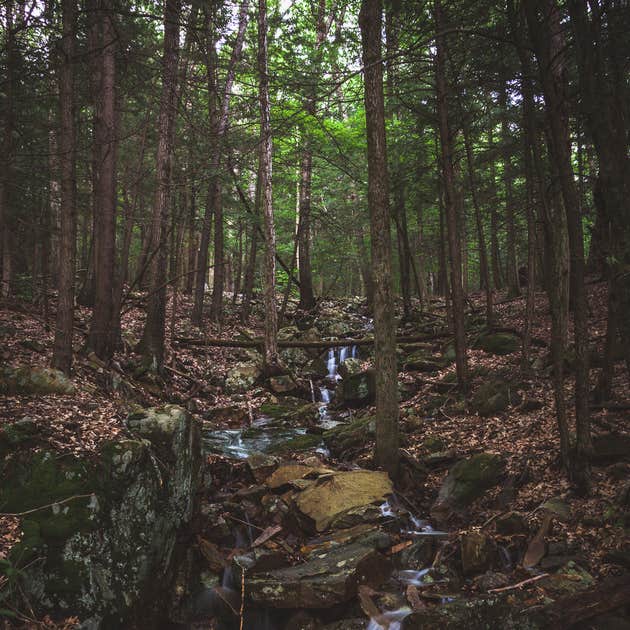 October Mountain State Forest Camping | The Dyrt