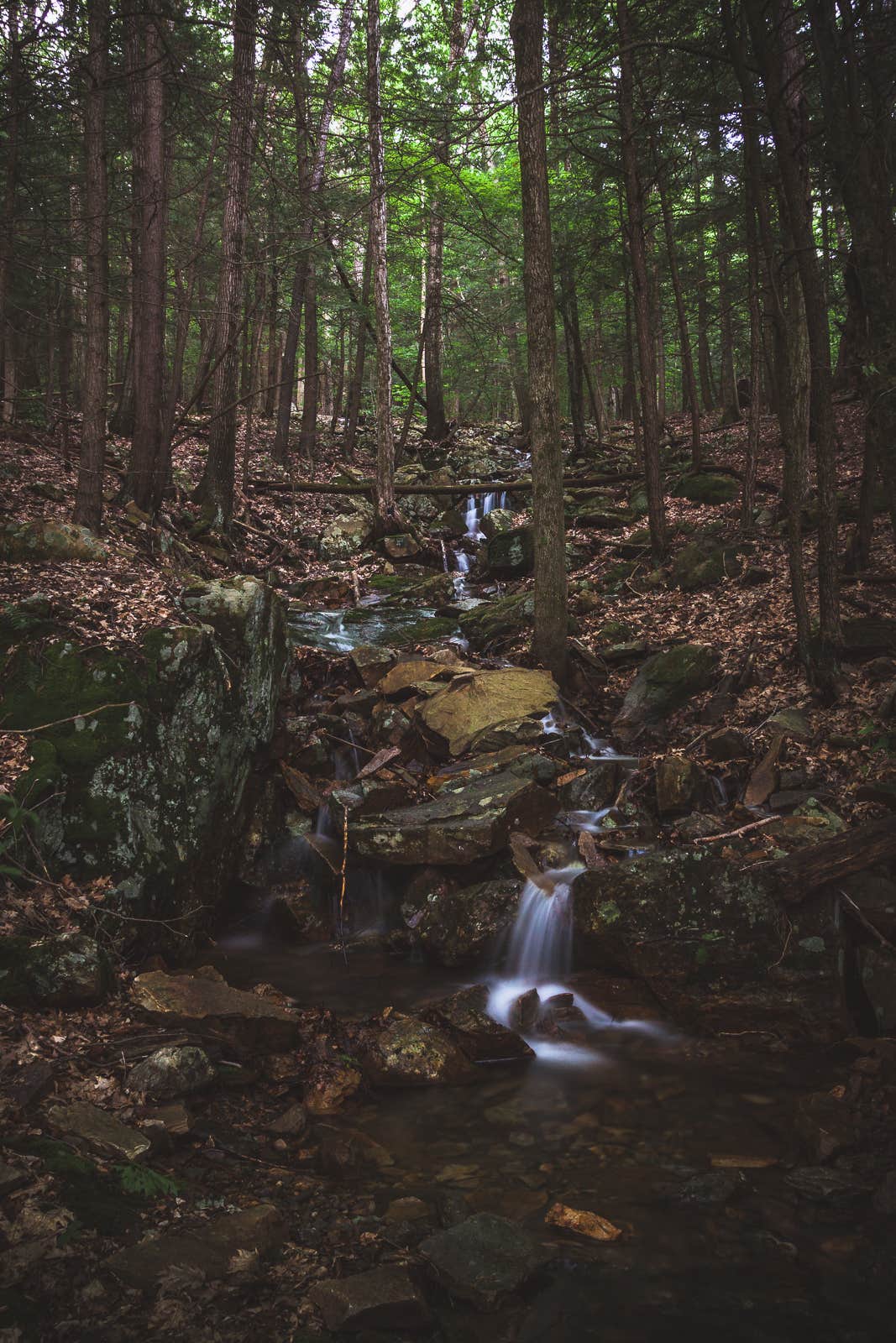 October Mountain State Forest Camping | Lee, MA