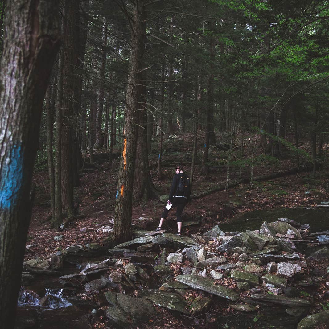 October Mountain State Forest Camping | The Dyrt