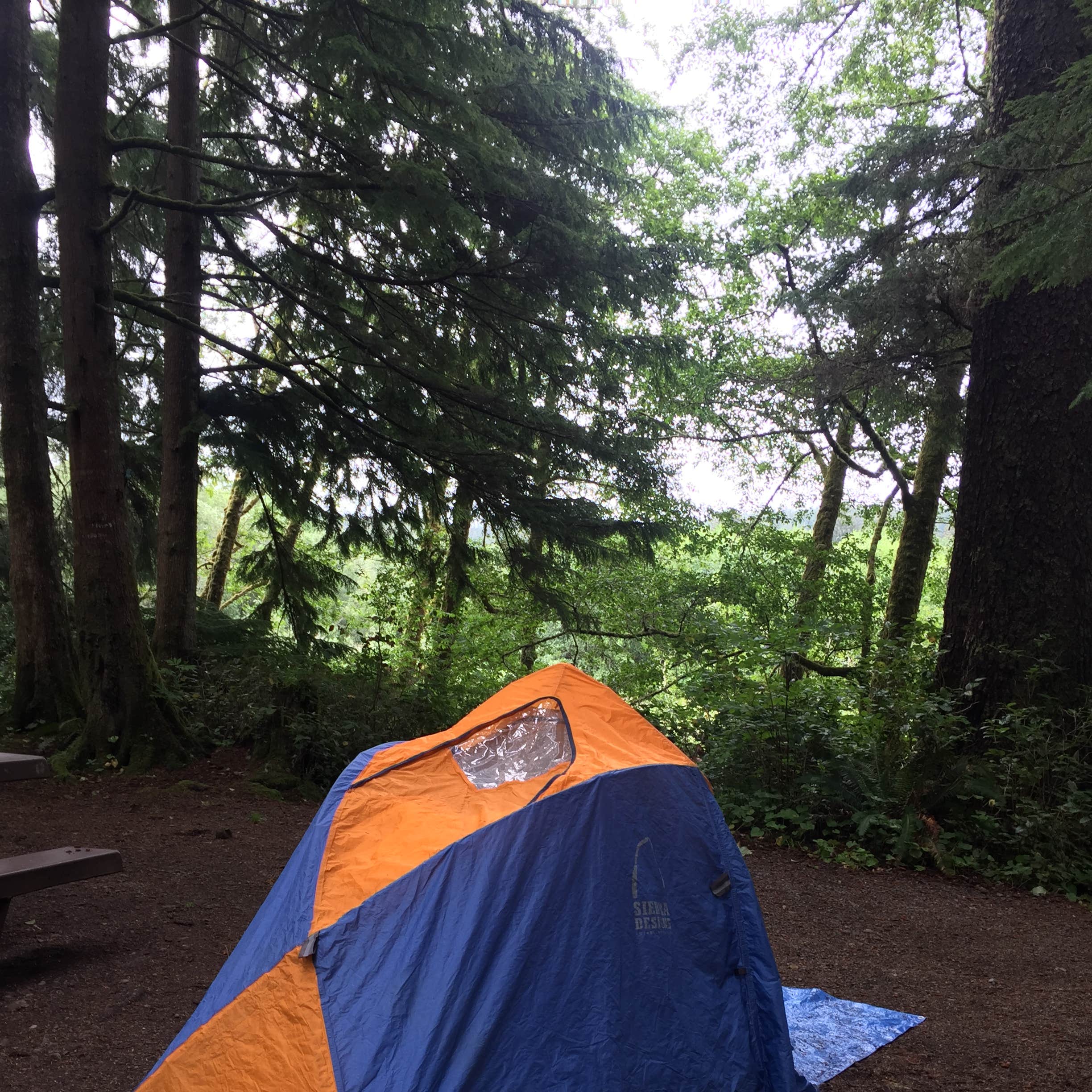 Mora Campground Camping | The Dyrt