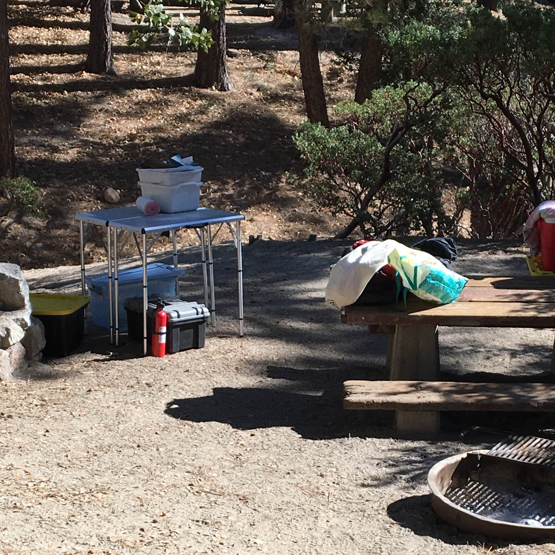 Idyllwild Campground Camping | The Dyrt