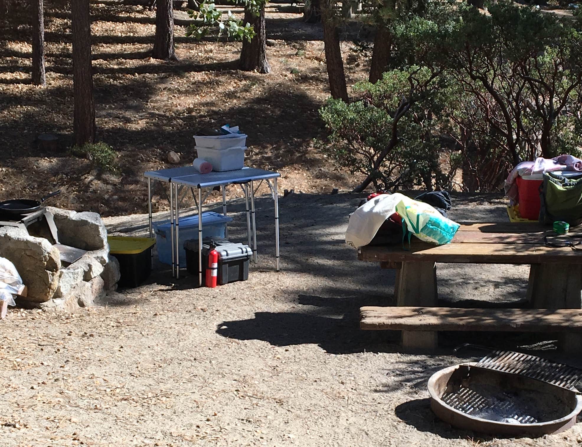 Idyllwild Campground Camping | The Dyrt