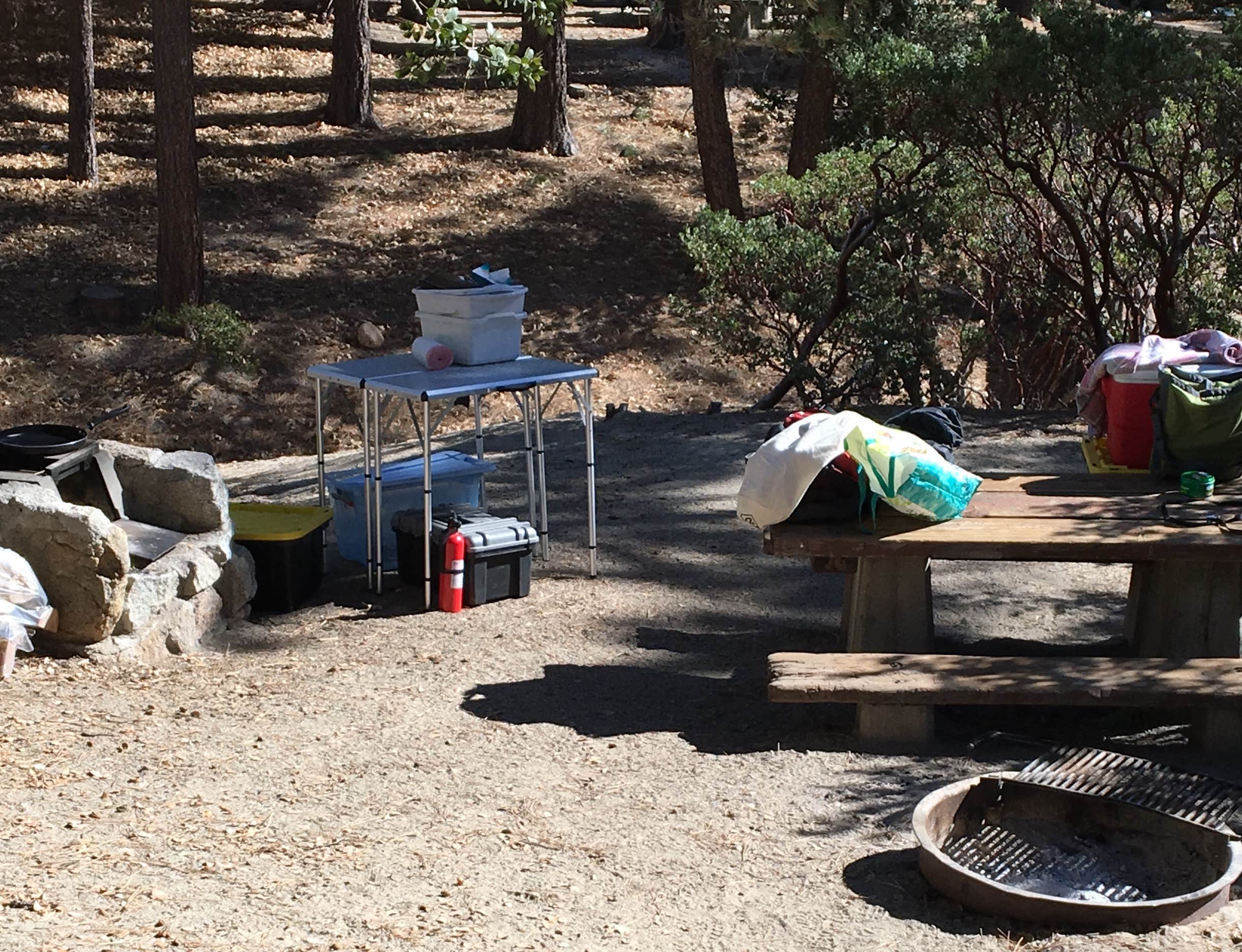 Idyllwild Campground Camping | The Dyrt