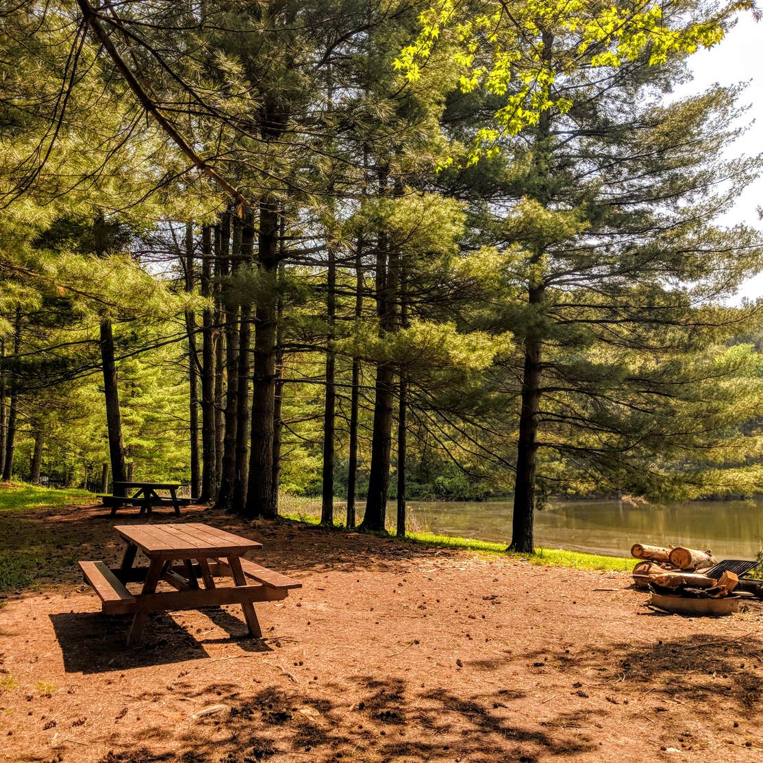 Lamping Homestead Recreation Area Camping | Graysville, Ohio
