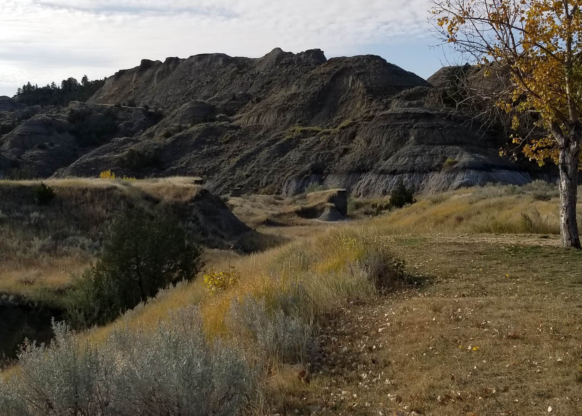 Makoshika State Park Camping | The Dyrt