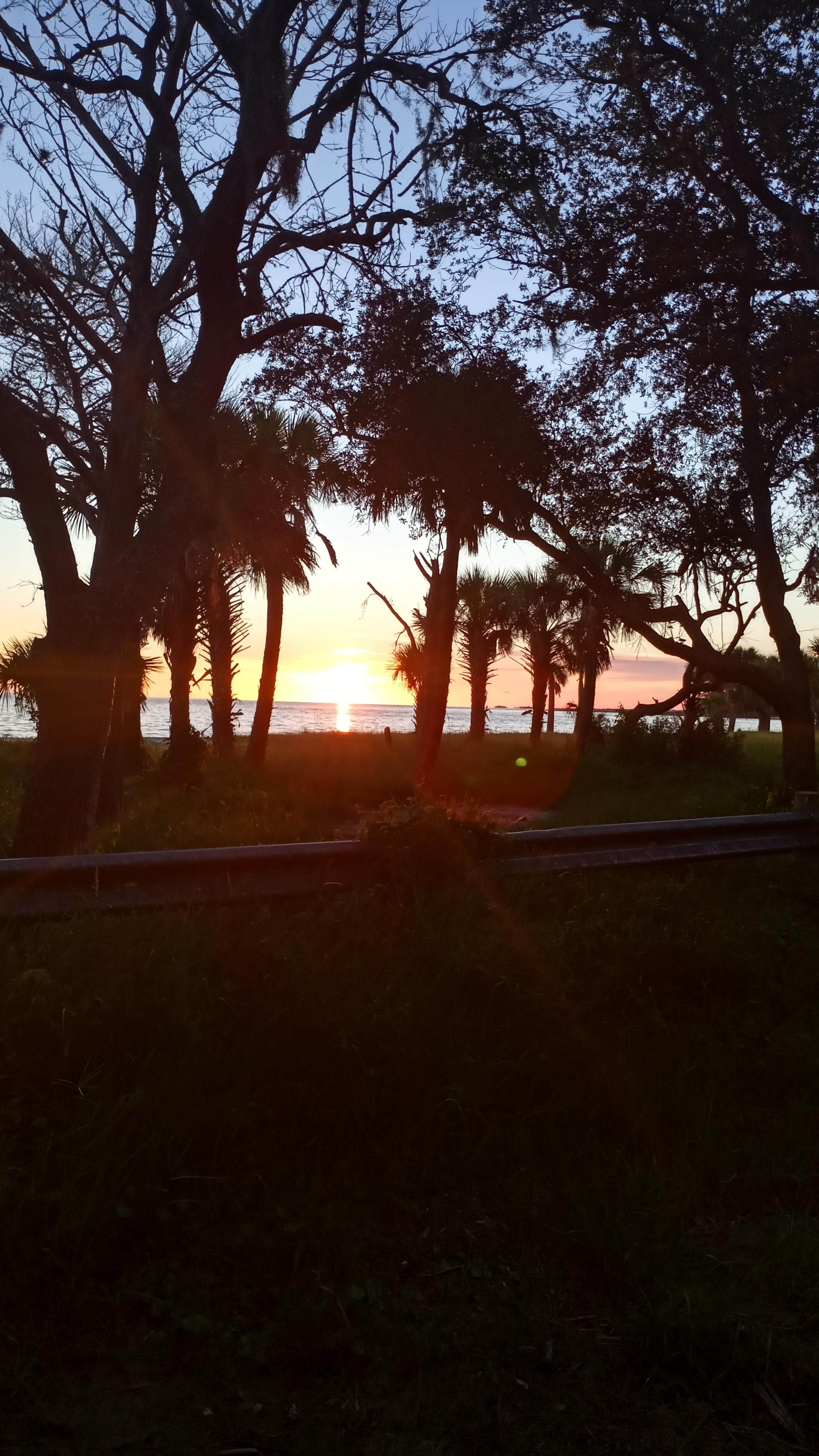 Shired Island Campground | Cedar Key, Florida