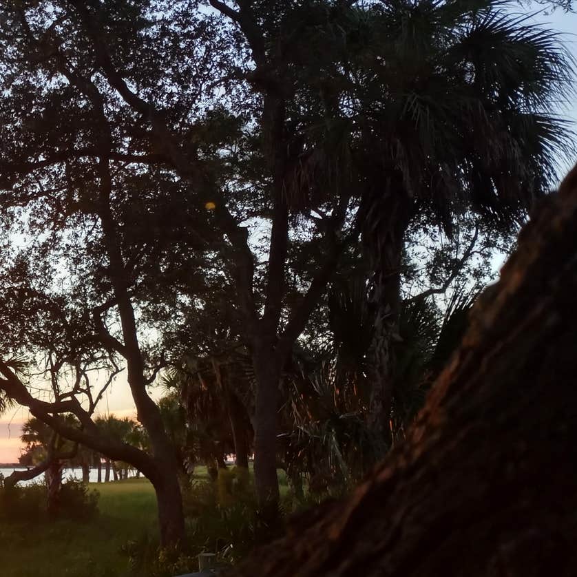 Shired Island Campground Camping | The Dyrt