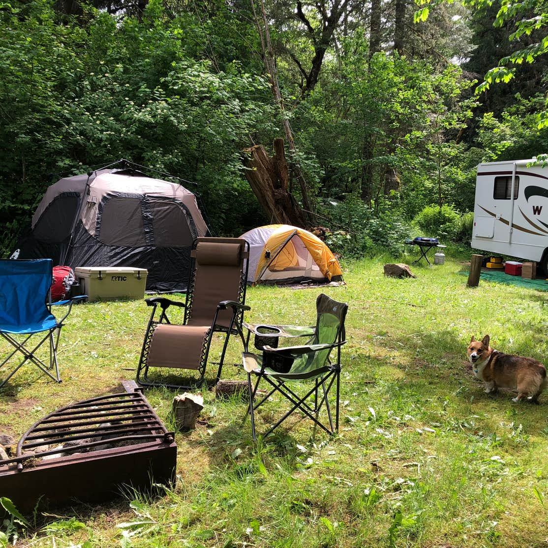 Tower Rock Campground | Randle, Washington