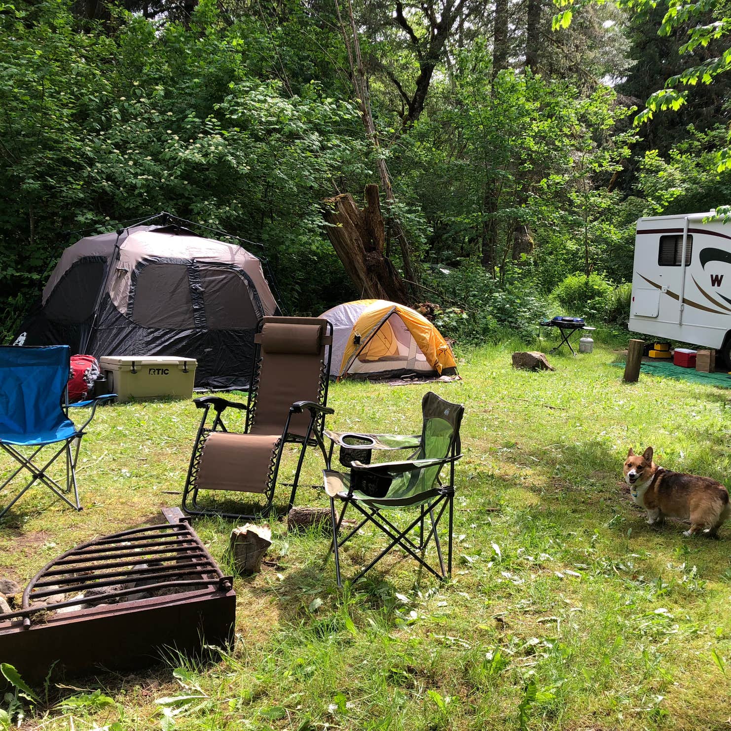 Tower Rock Campground | Randle, Washington