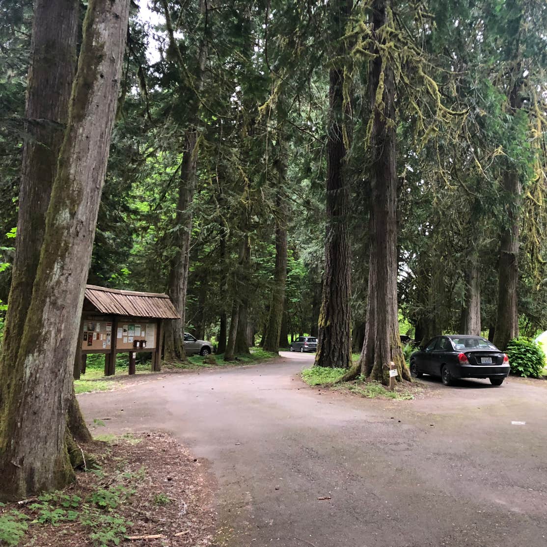 Tower Rock Campground | Randle, WA