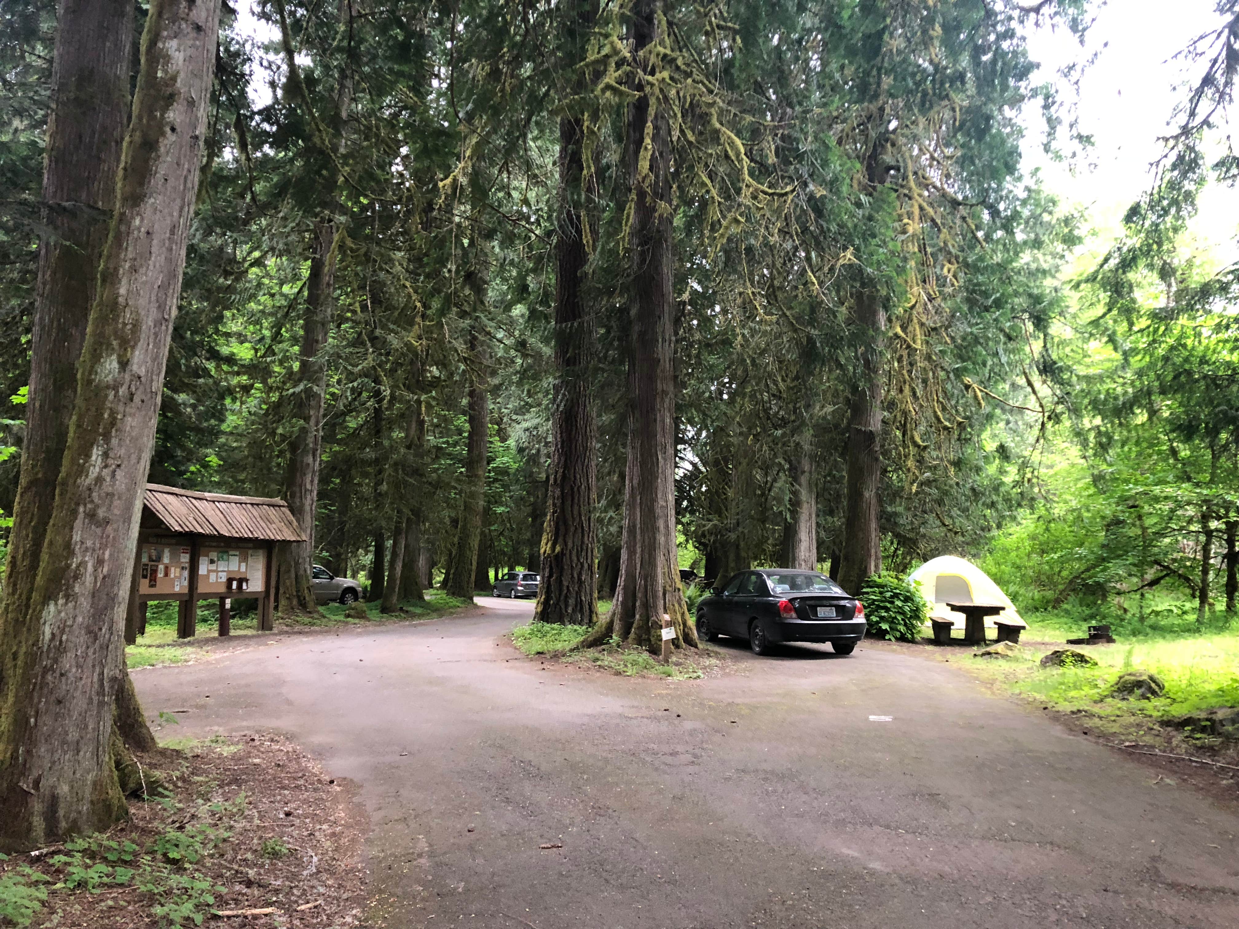 Tower Rock Campground | Randle, WA