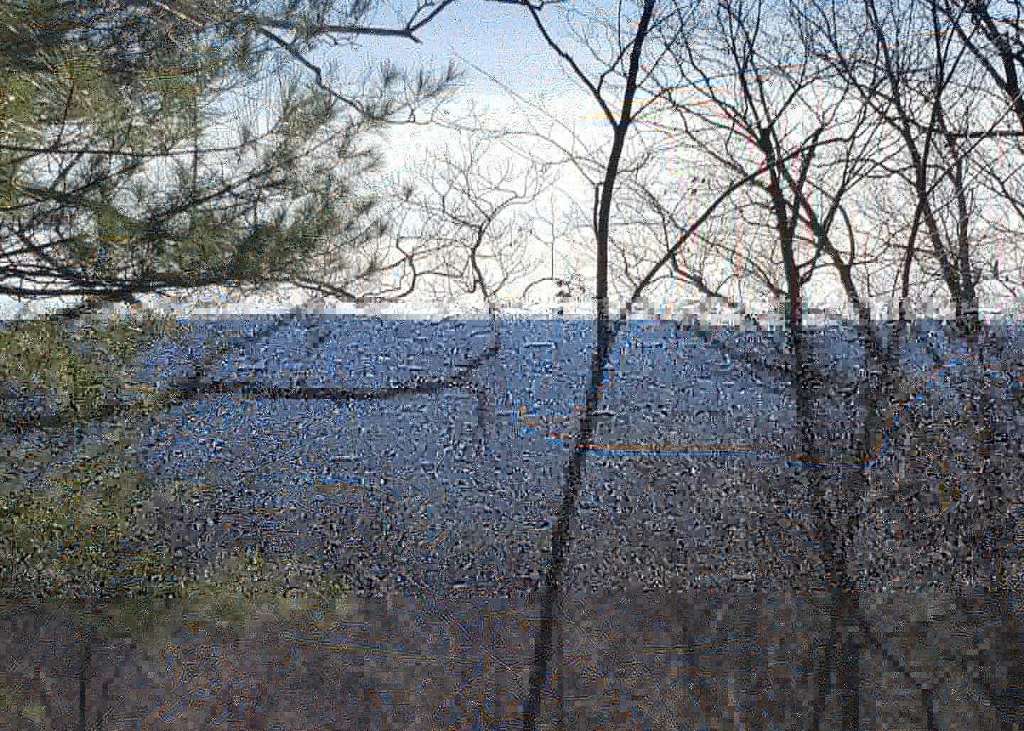 Michaux State Forest Camping | The Dyrt