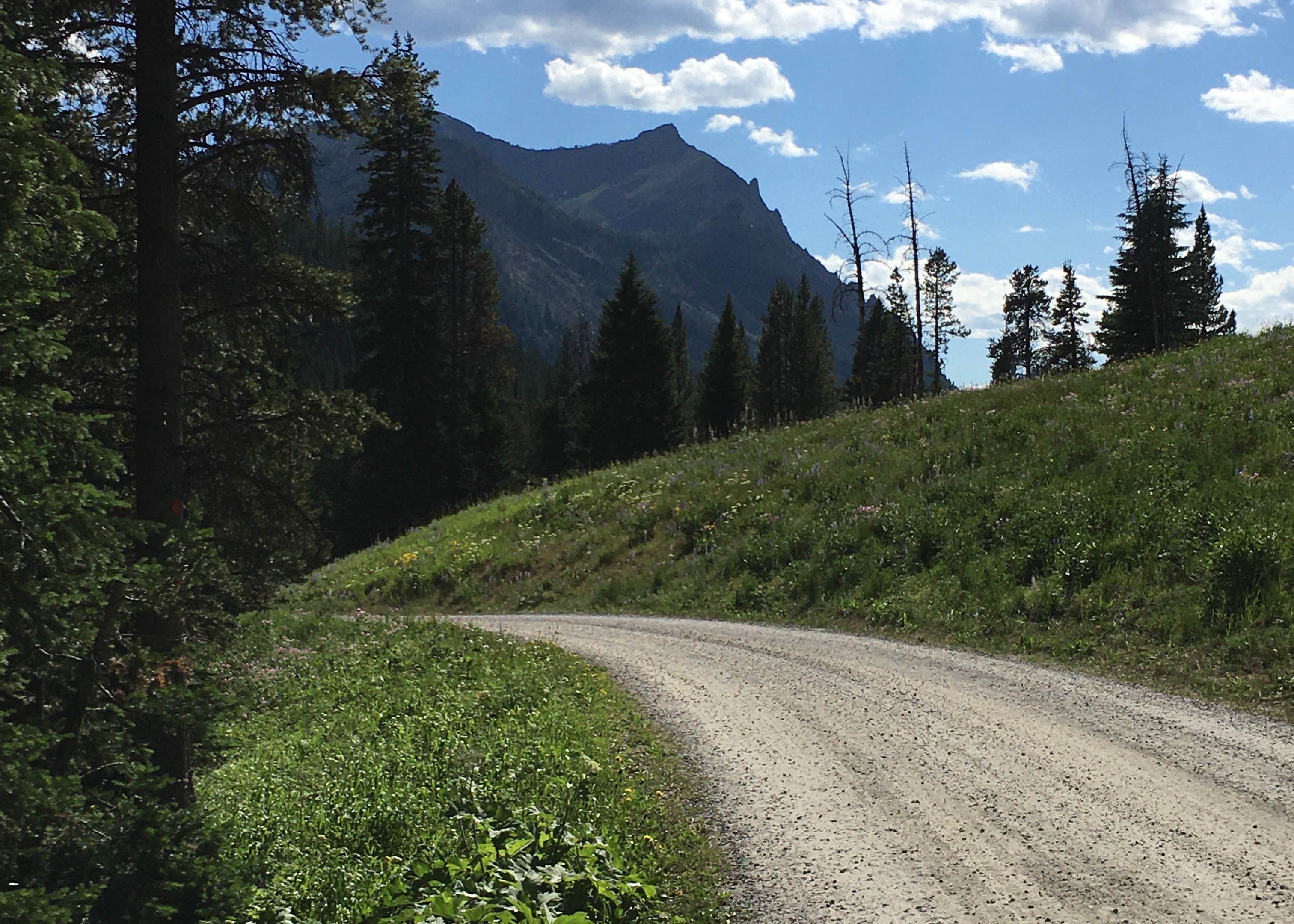 Soda Butte Campground Camping | The Dyrt