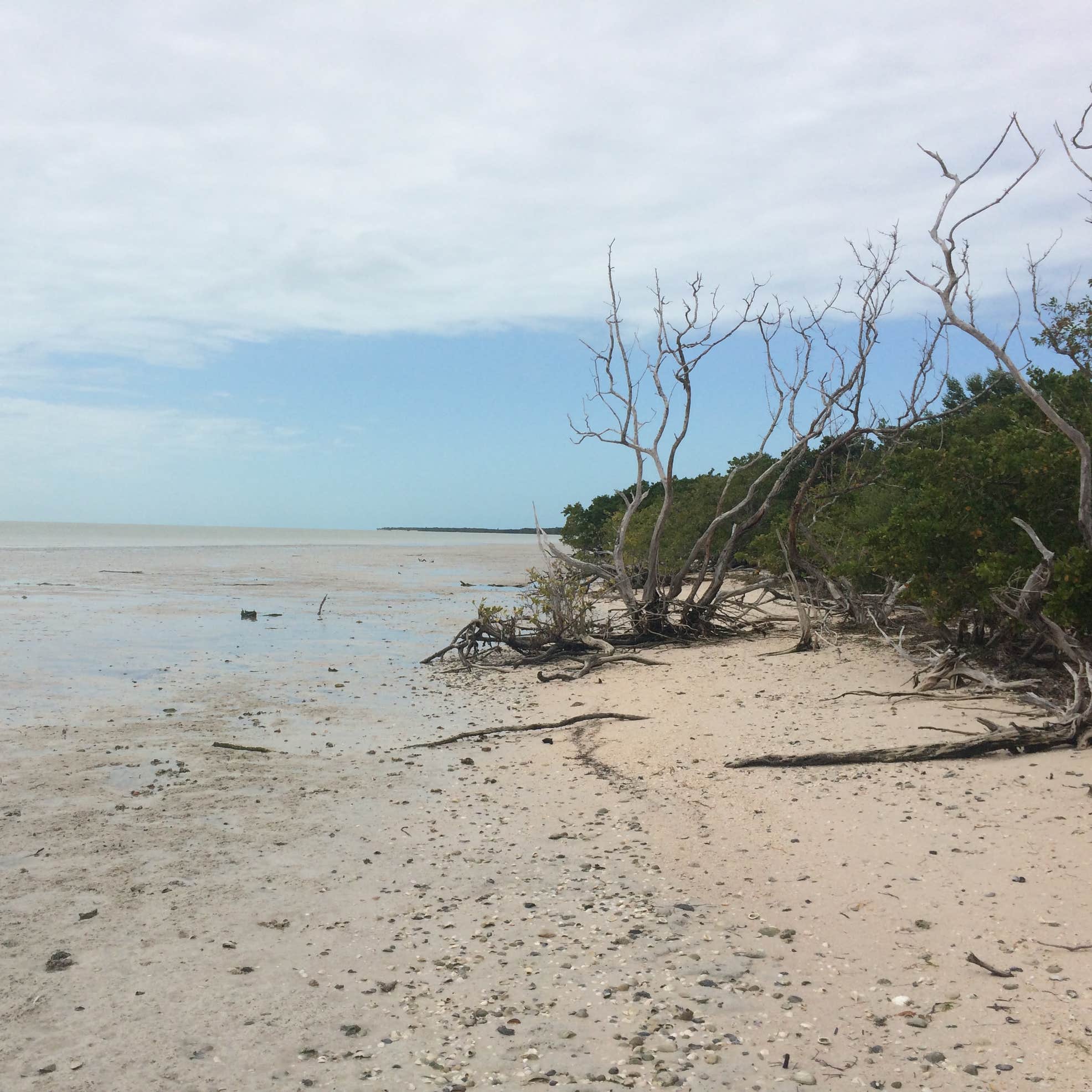 Everglades National Park Complete Camping Guide