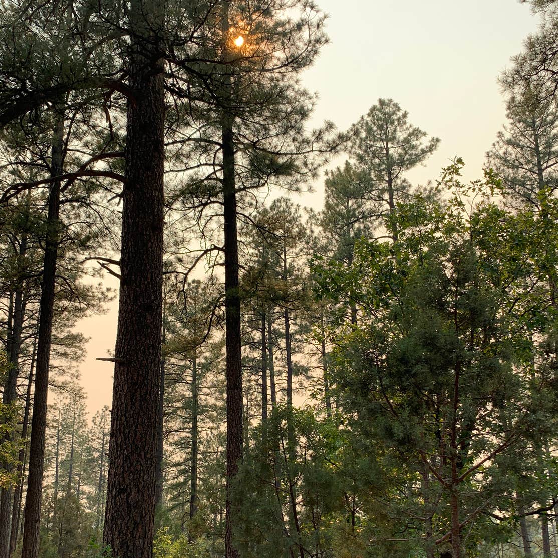 Sharp Creek Camping | Kohls Ranch, Arizona