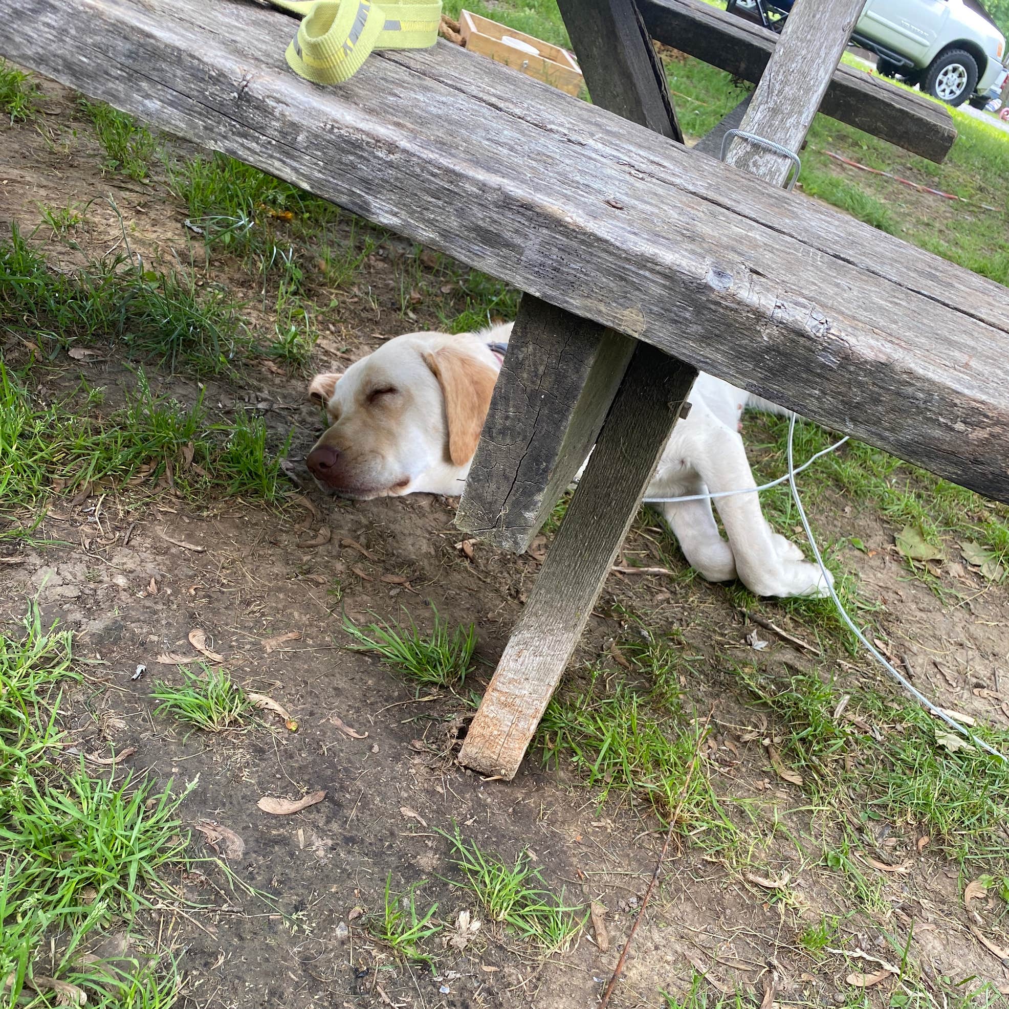 Turkey Run Canoe & Camping | Marshall, Indiana