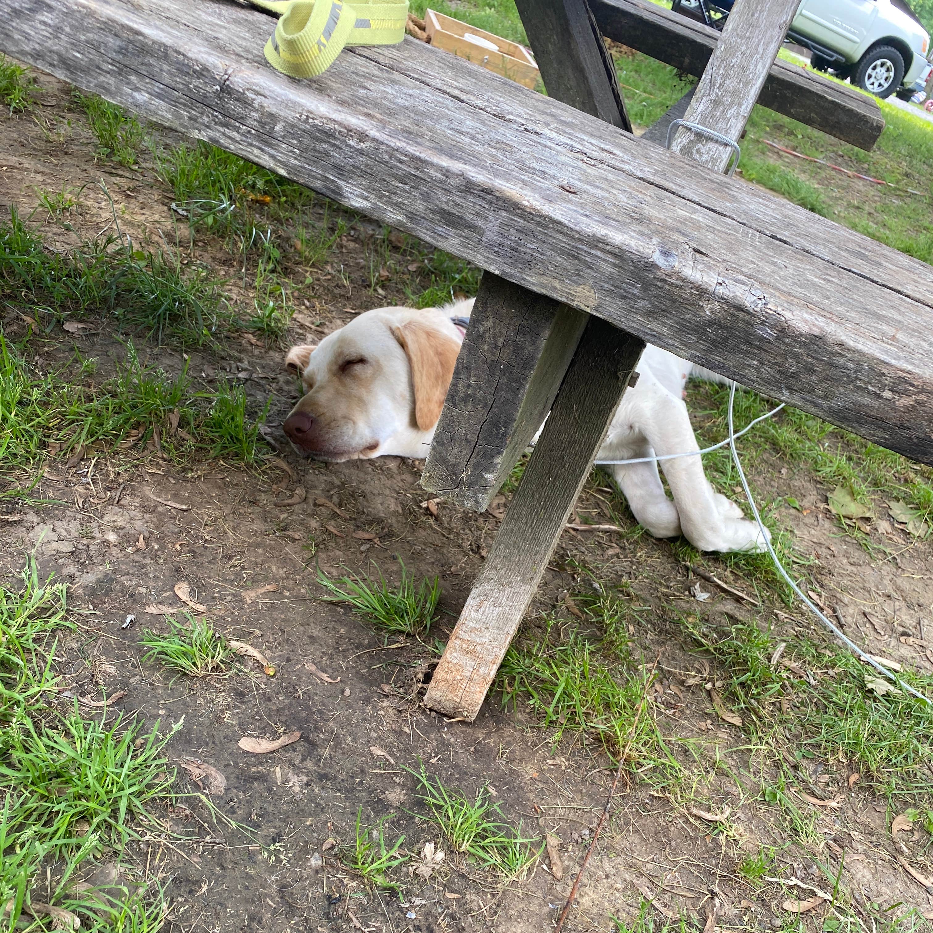 Turkey Run Canoe & Camping | Marshall, Indiana