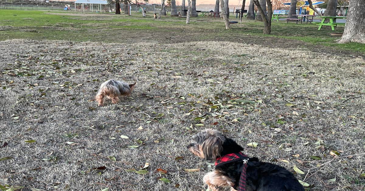 Keystone RV Park | Reno, NV