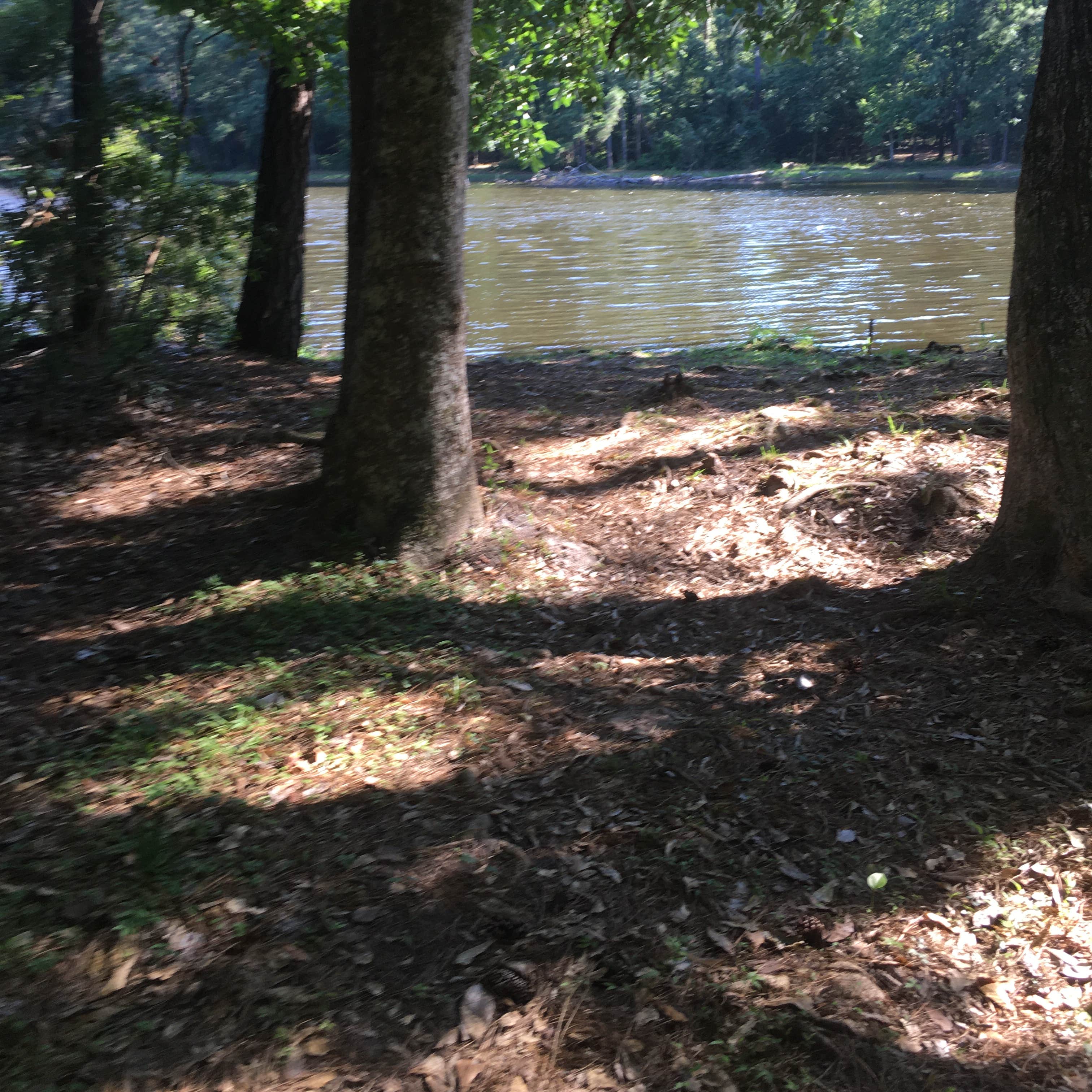 Double Lake Recreation Area Camping | Coldspring, Texas