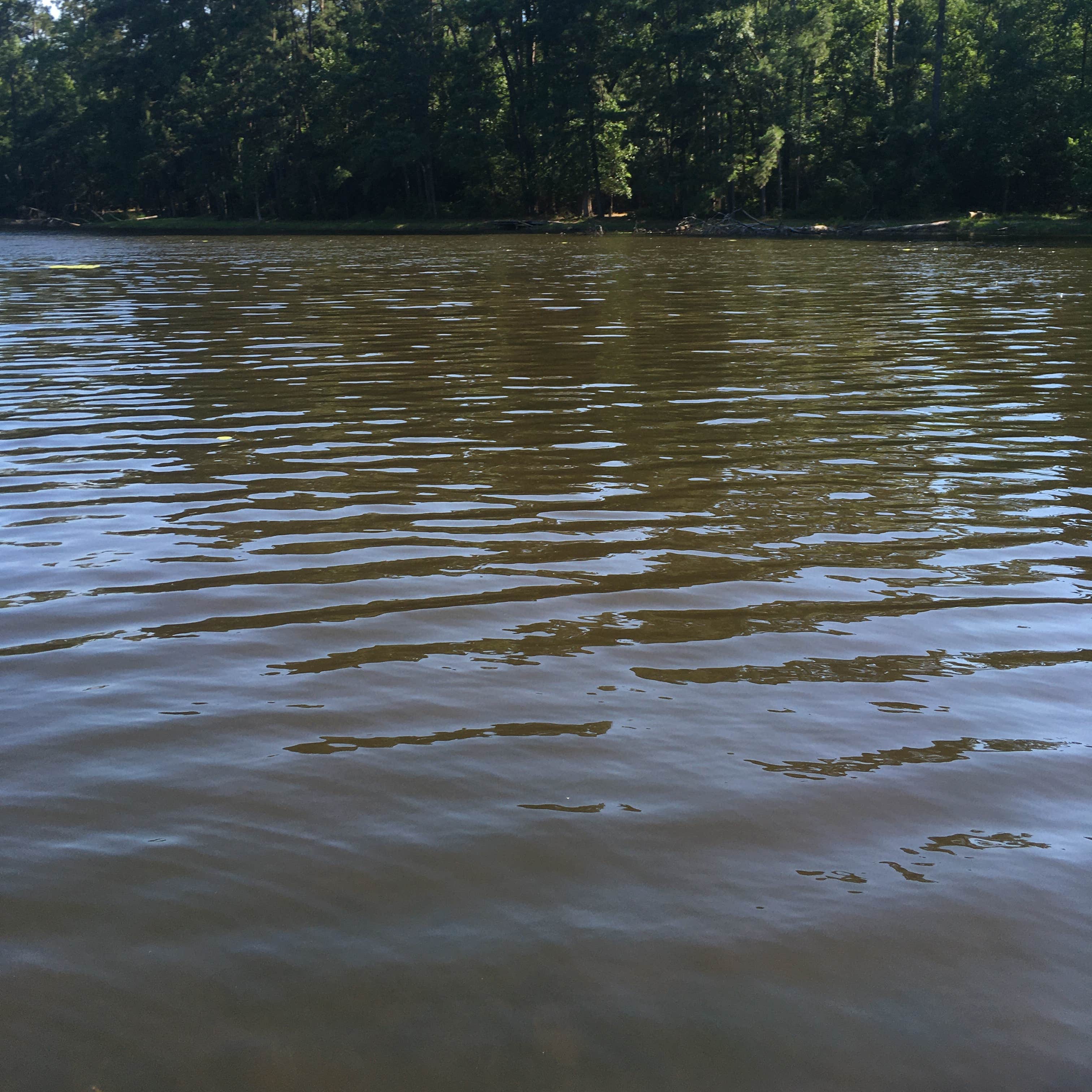 Double Lake Recreation Area Camping | Coldspring, Texas