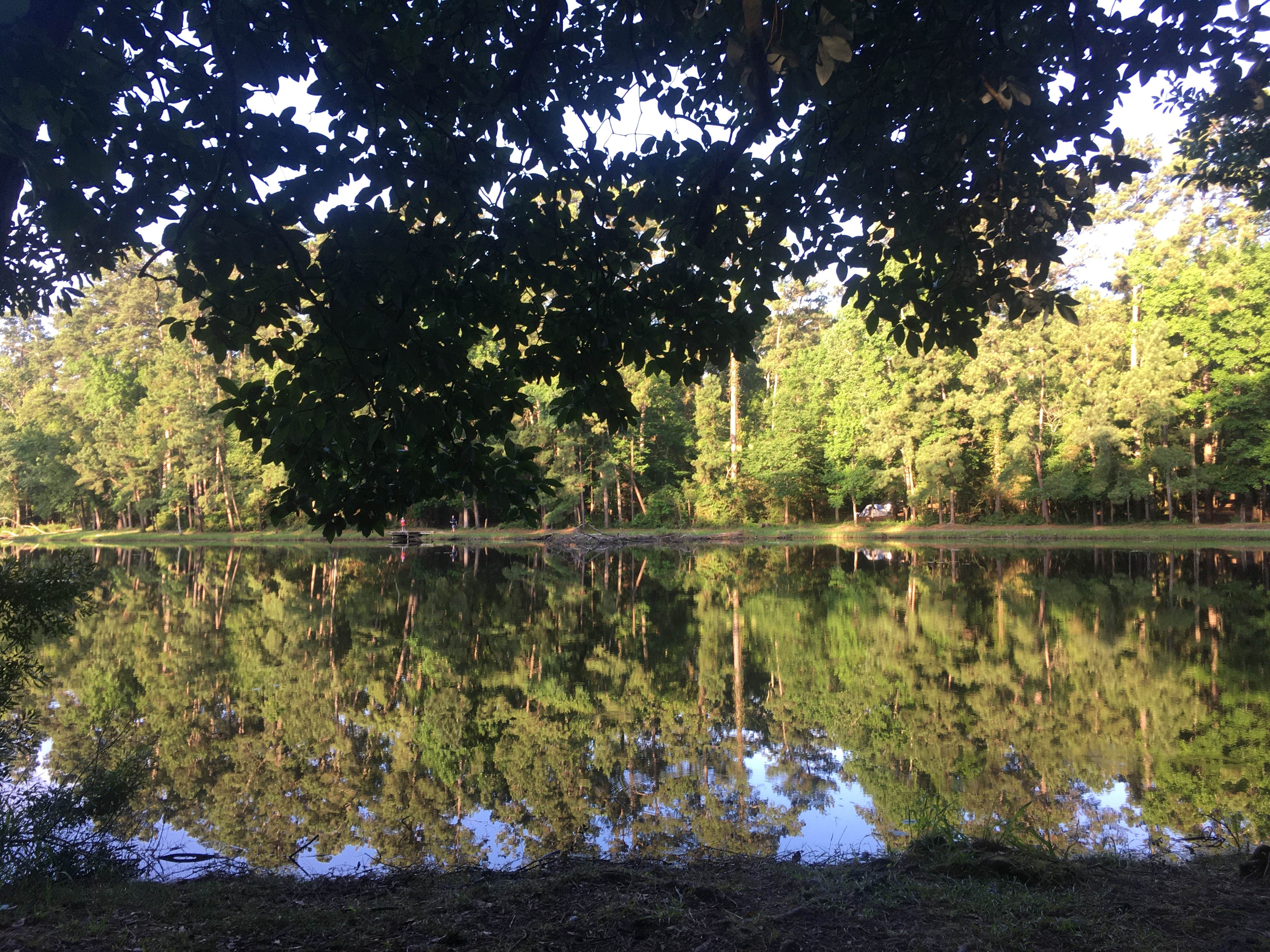 Double Lake Recreation Area | The Dyrt