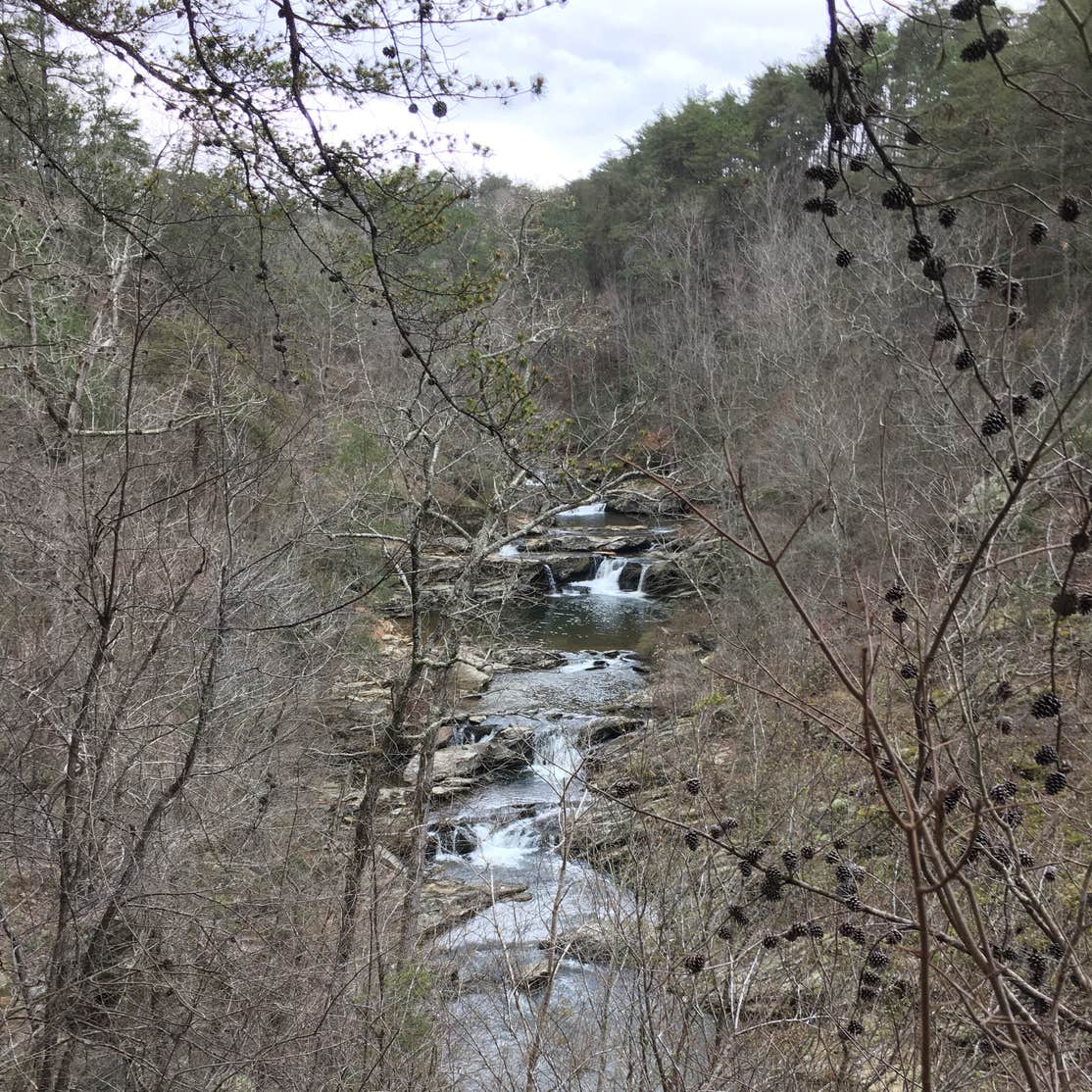 Skyway Loop Backcountry Site Near Chinnabee Camping | Munford, Alabama