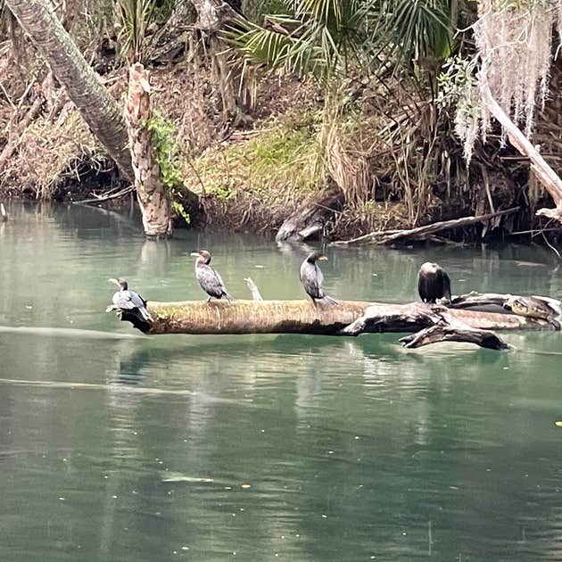 Orange City RV Resort, A Sun RV Resort | Orange City, Florida