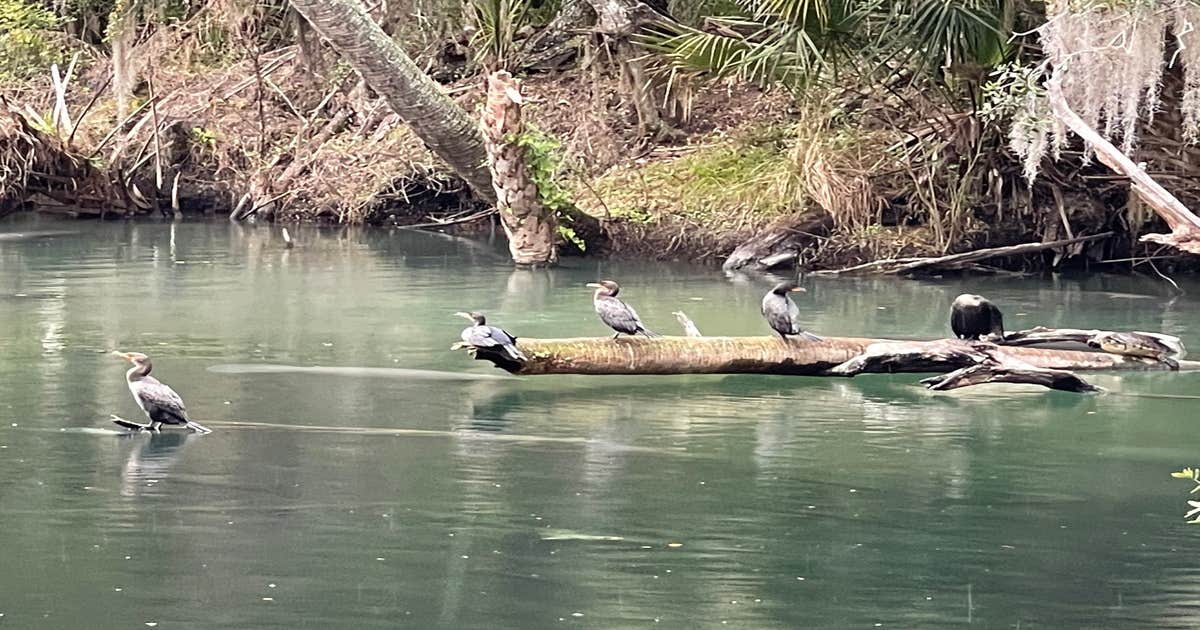 Orange City RV Resort, A Sun RV Resort | Orange City, FL