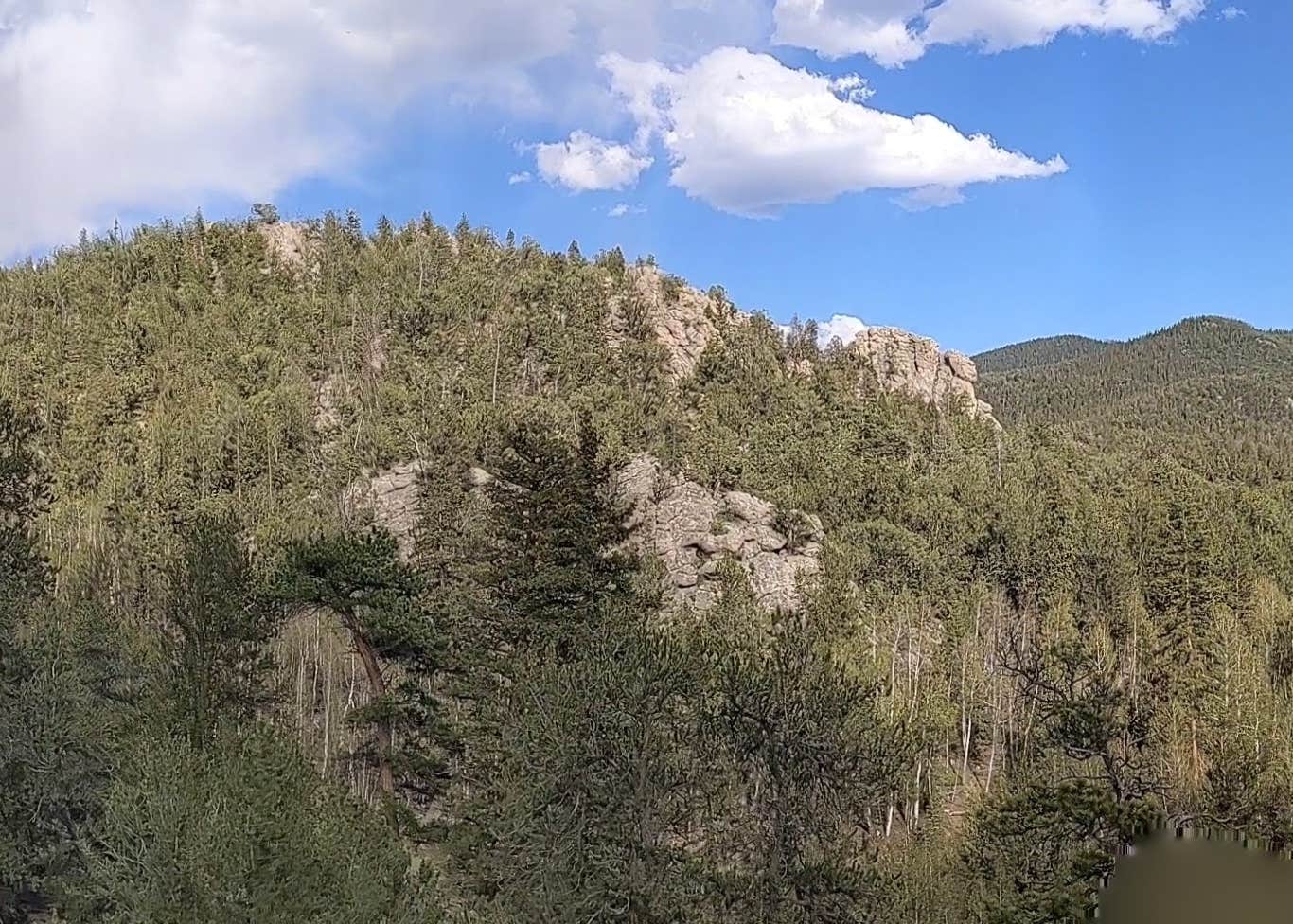 Tarryall Creek- Dispersed Camping Camping | The Dyrt