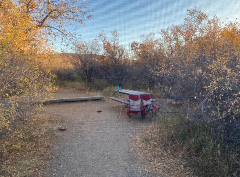 THE 10+ BEST Campgrounds near Lake City, CO