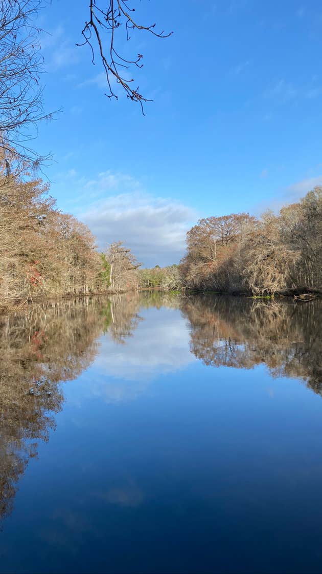 Potts Preserve | The Dyrt