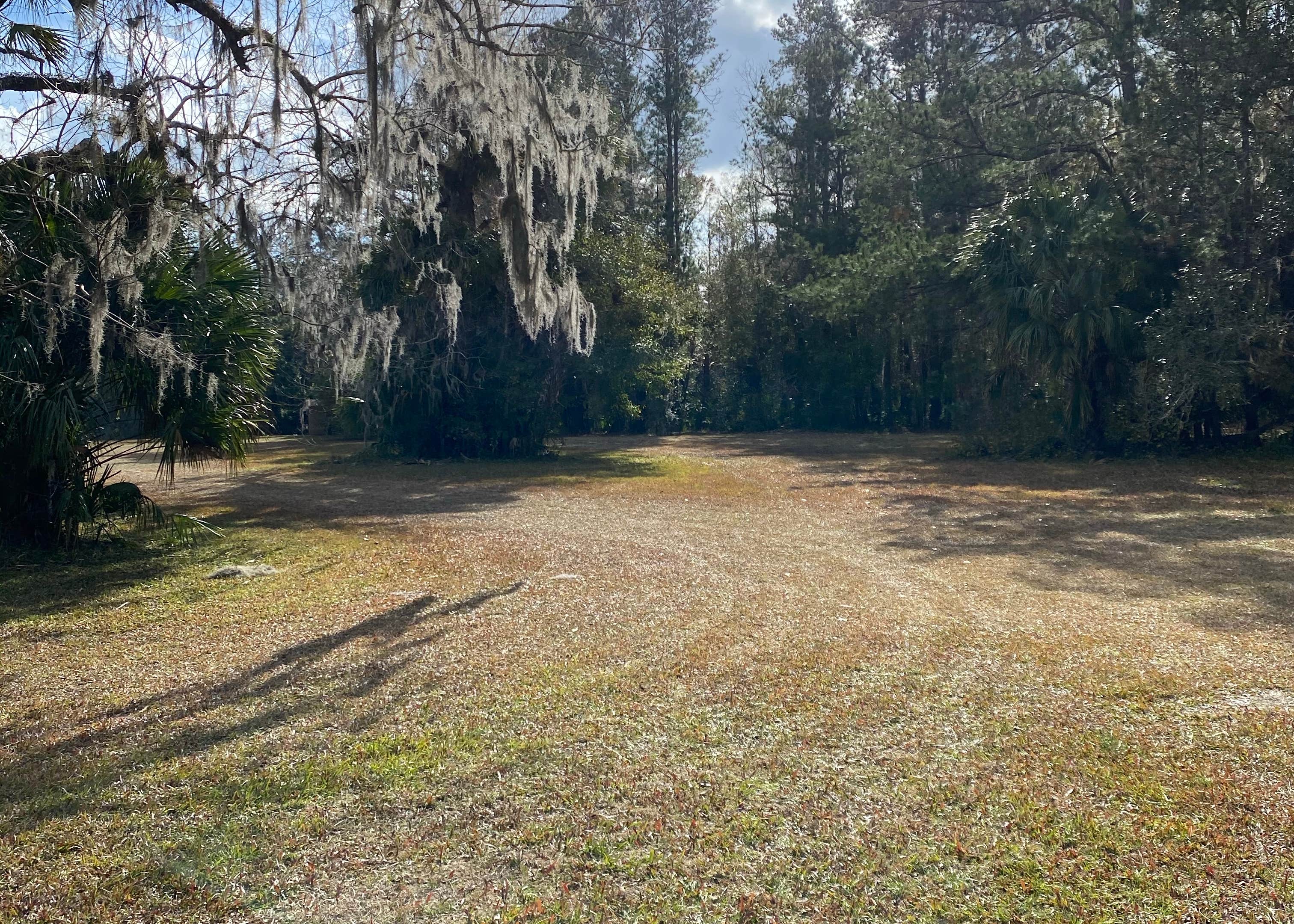 Potts Preserve Camping | Hernando, FL | The Dyrt