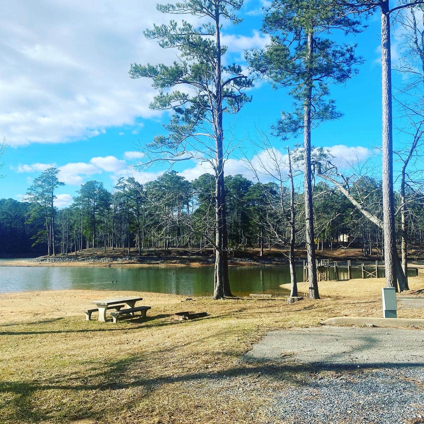Wind Creek State Park Campground | Alexander City, Alabama