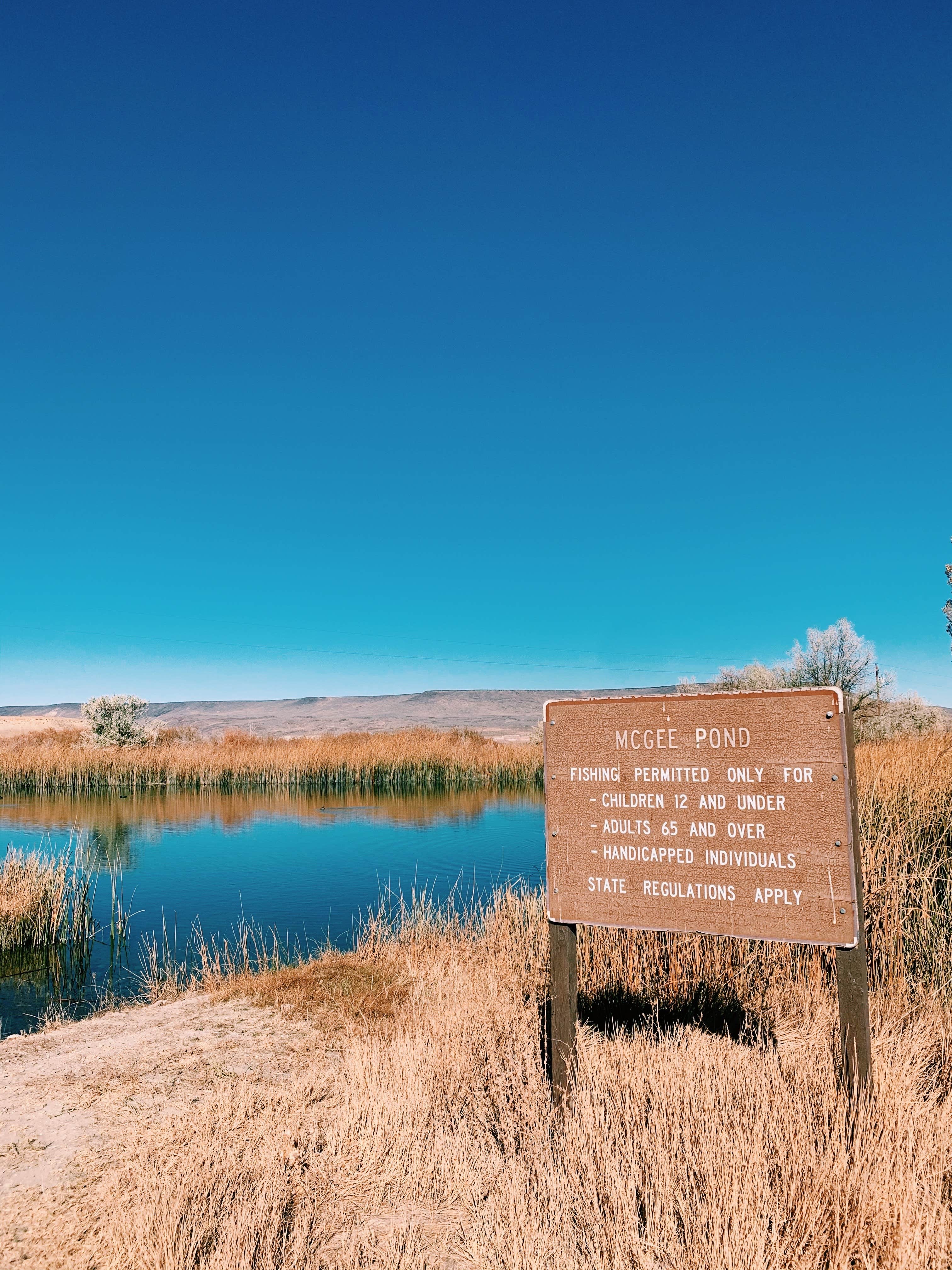 Virgin Valley Campground | Denio, NV