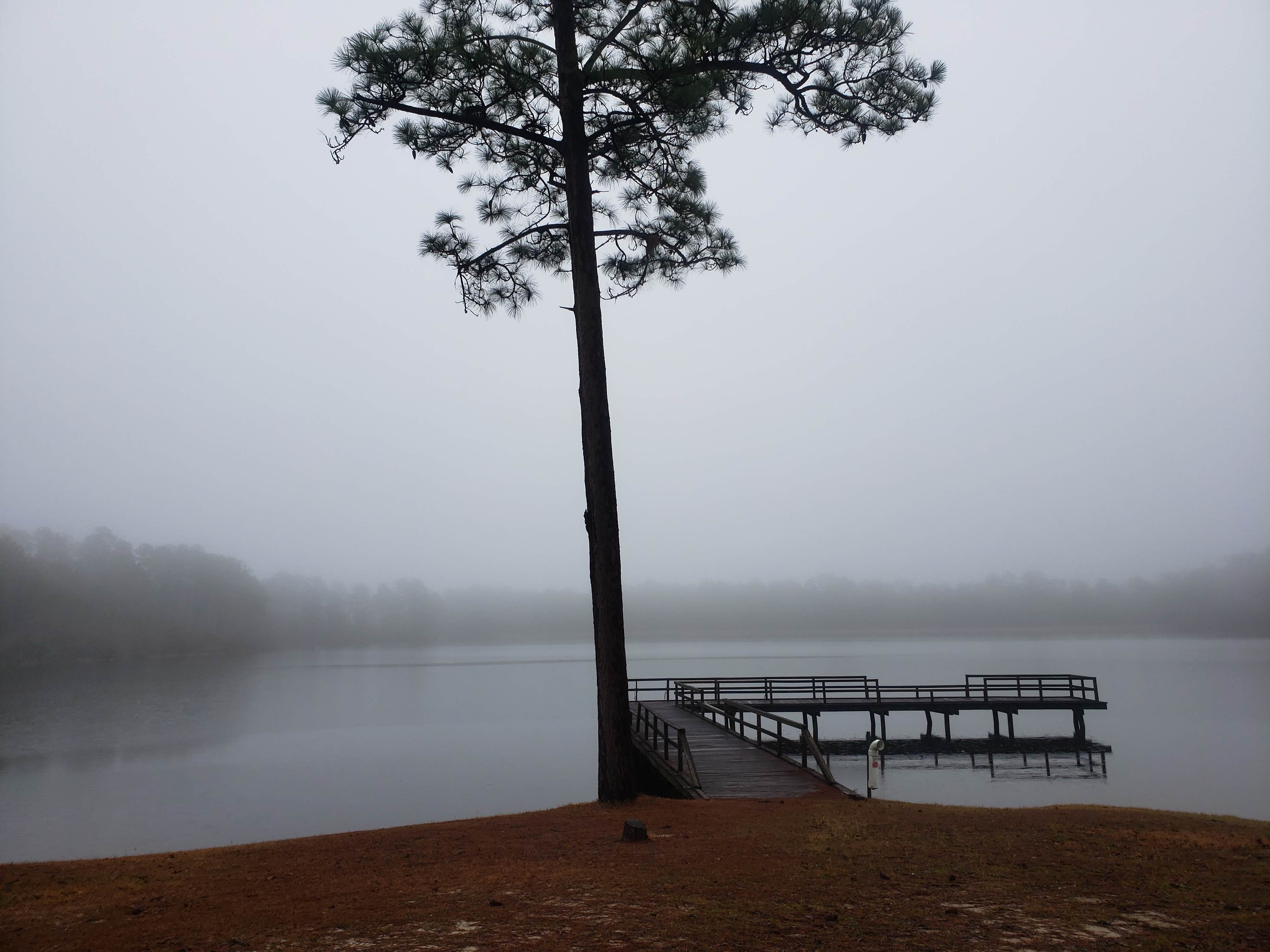 Lake Perry Campground | Beaumont, Mississippi