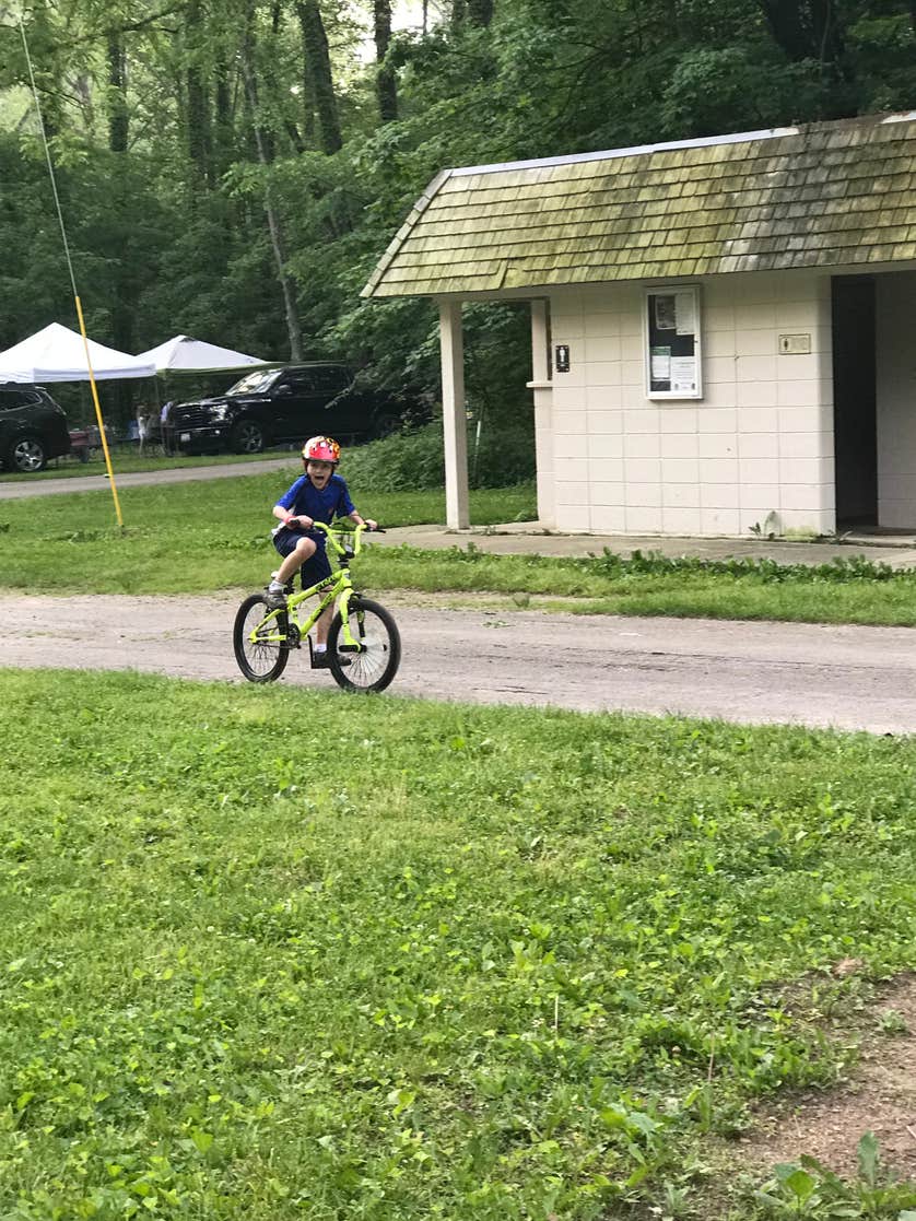 Hueston Woods State Park Camping | The Dyrt