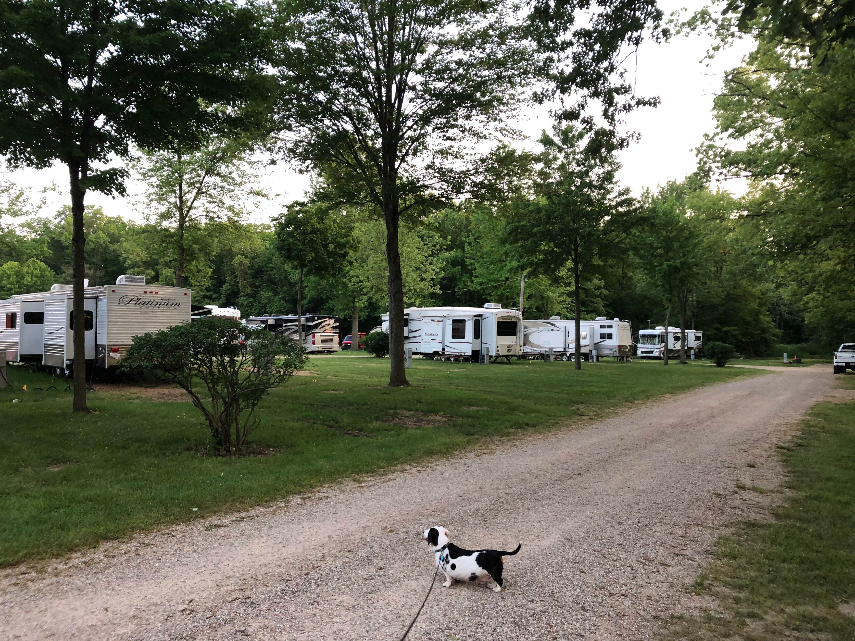 Spaulding Lake Campground Camping | The Dyrt