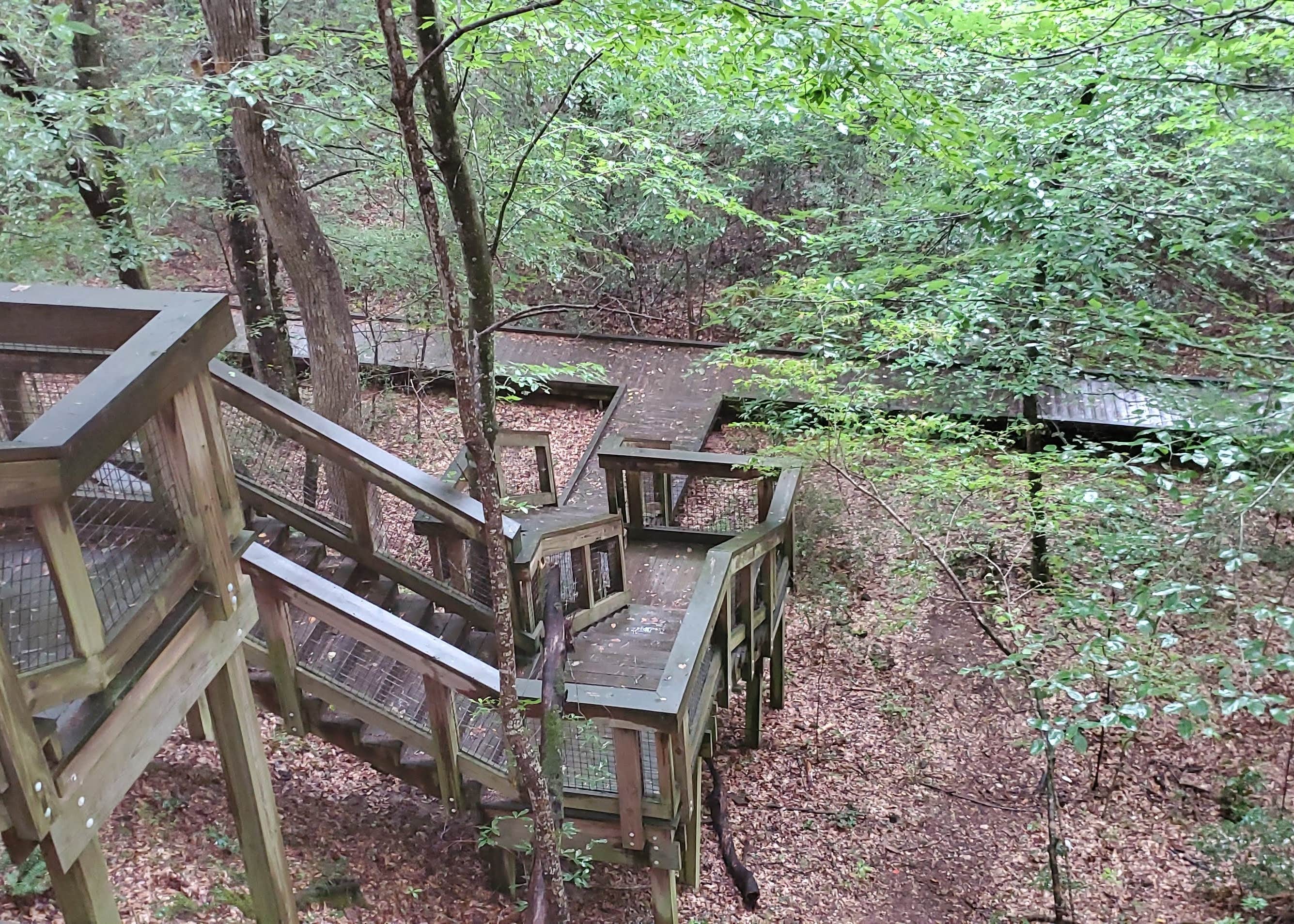 Bogue Chitto State Park Camping | The Dyrt