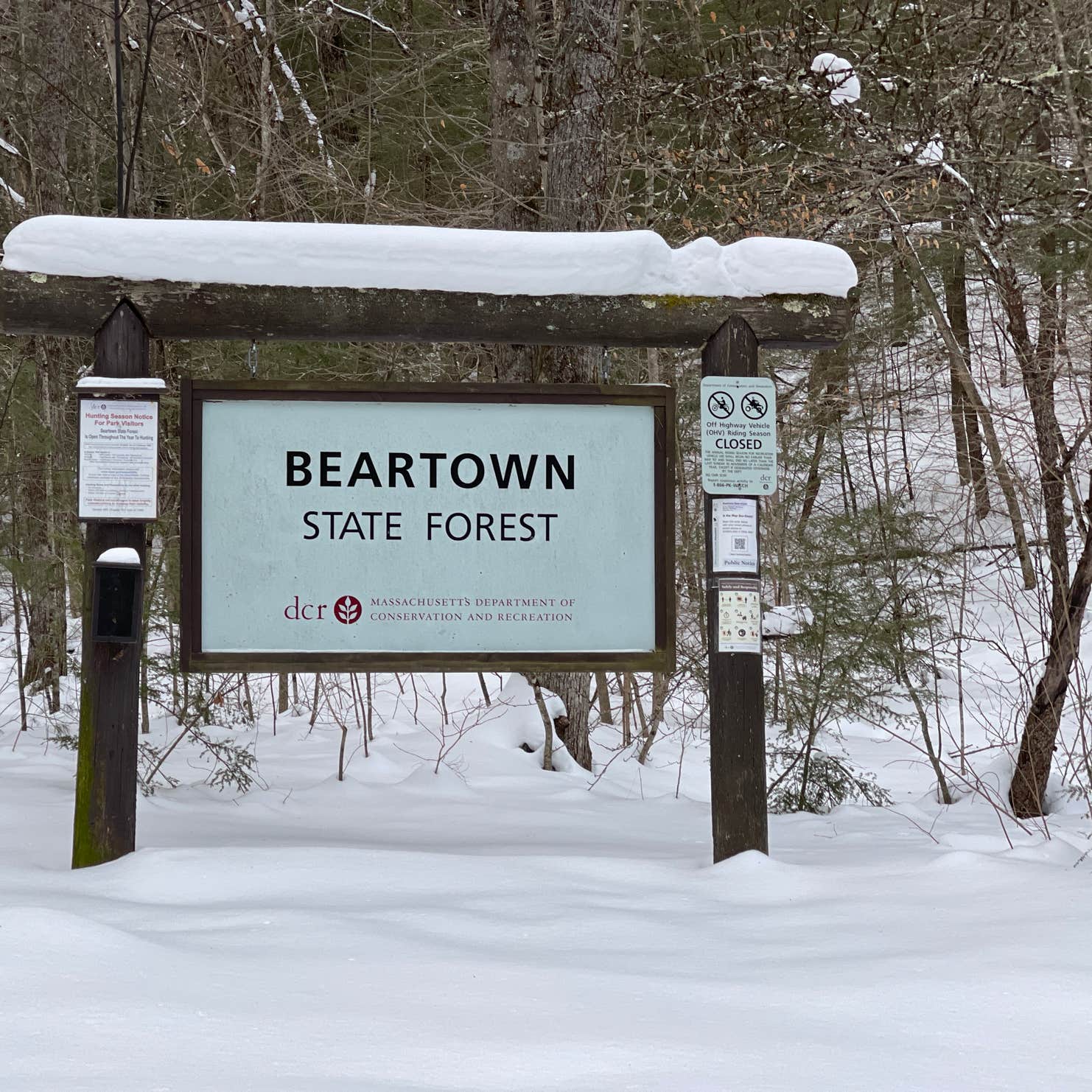 Beartown State Forest Camping | Great Barrington, MA