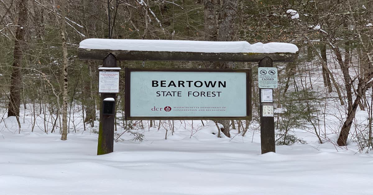 Beartown State Forest Campground | Great Barrington, Massachusetts
