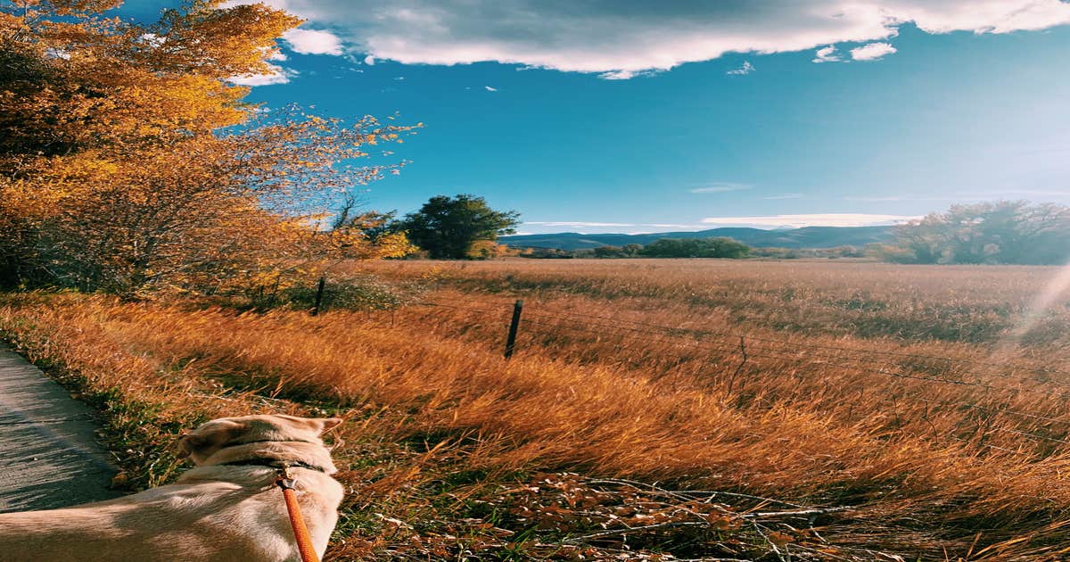 Lander City Park Camping | Lander, WY